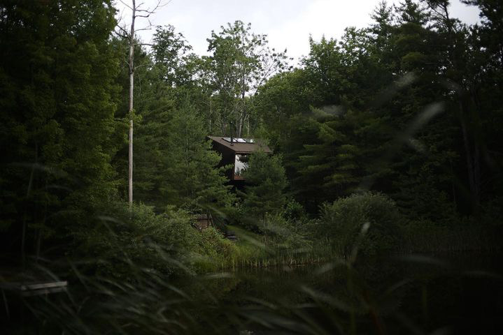 Inhabit Treehouse by antonygibbondesigns - Architizer