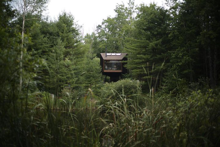 Inhabit Treehouse by antonygibbondesigns - Architizer