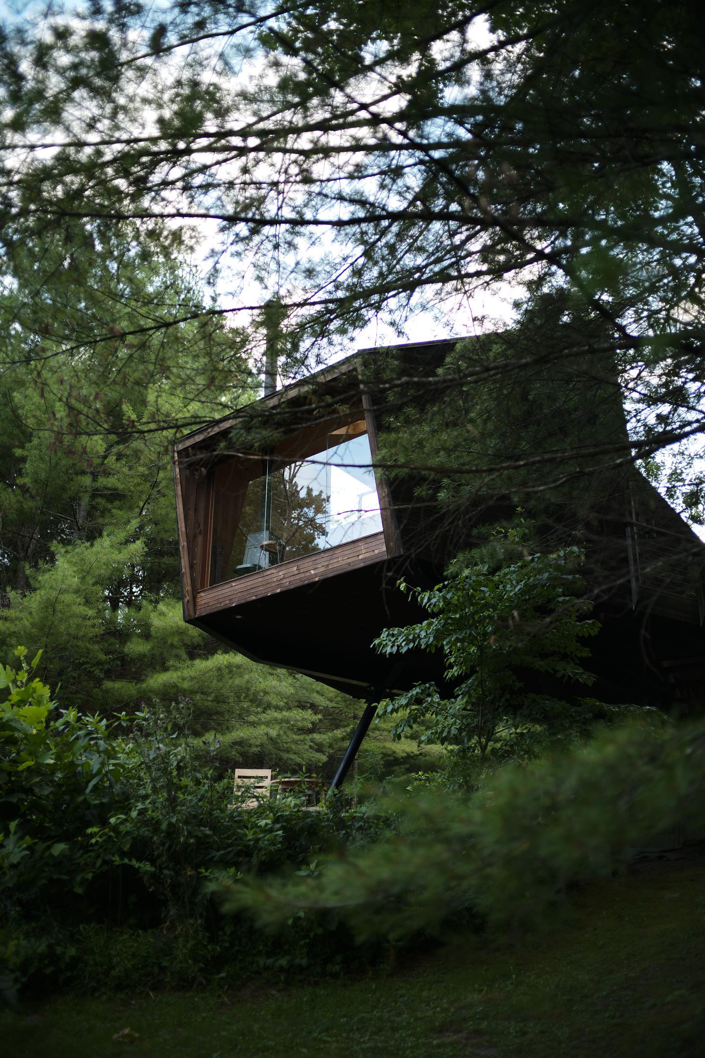 Inhabit Treehouse by antonygibbondesigns - Architizer