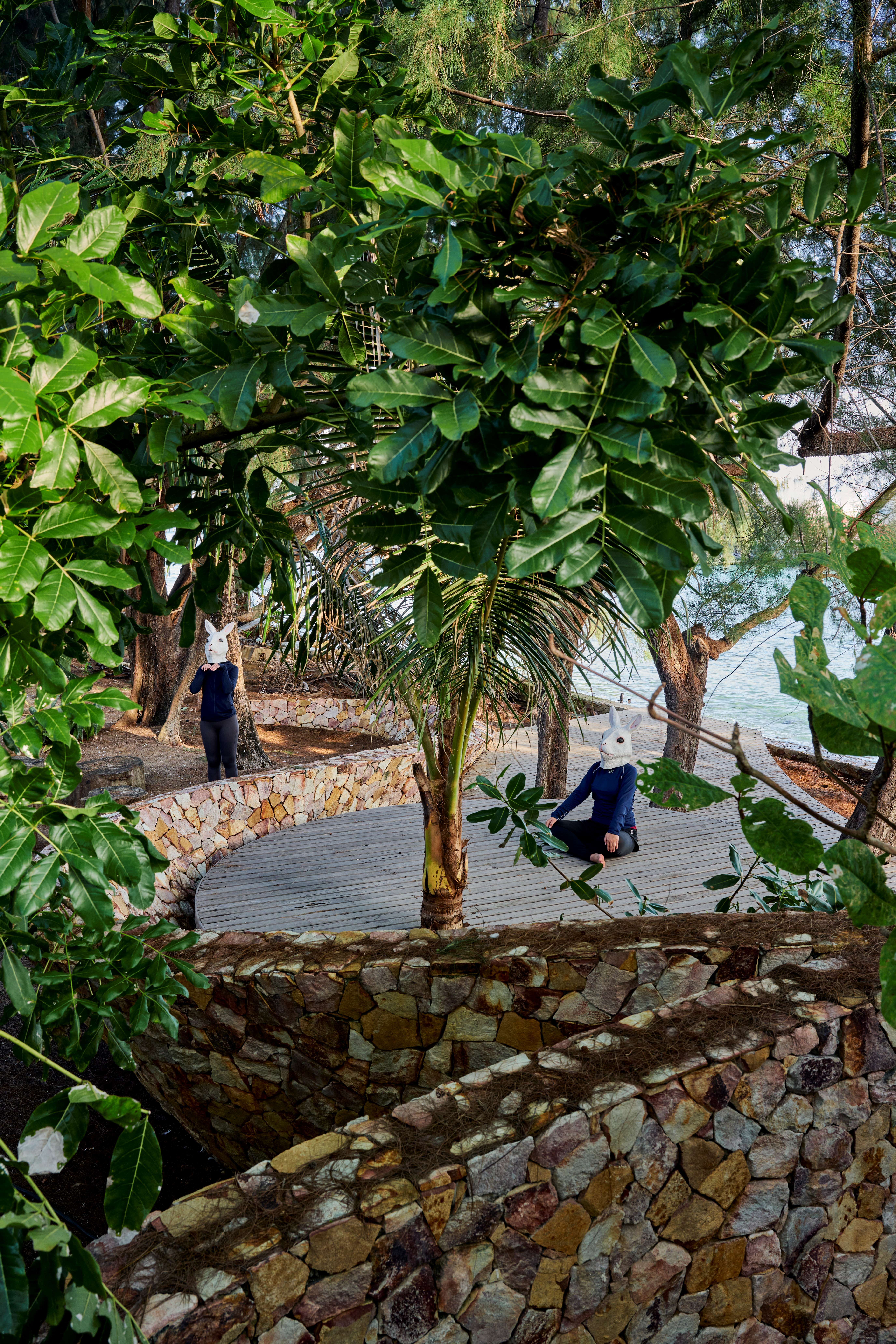 Coconut Wellness Garden by RAD+ar ( Research Artistic Design ...