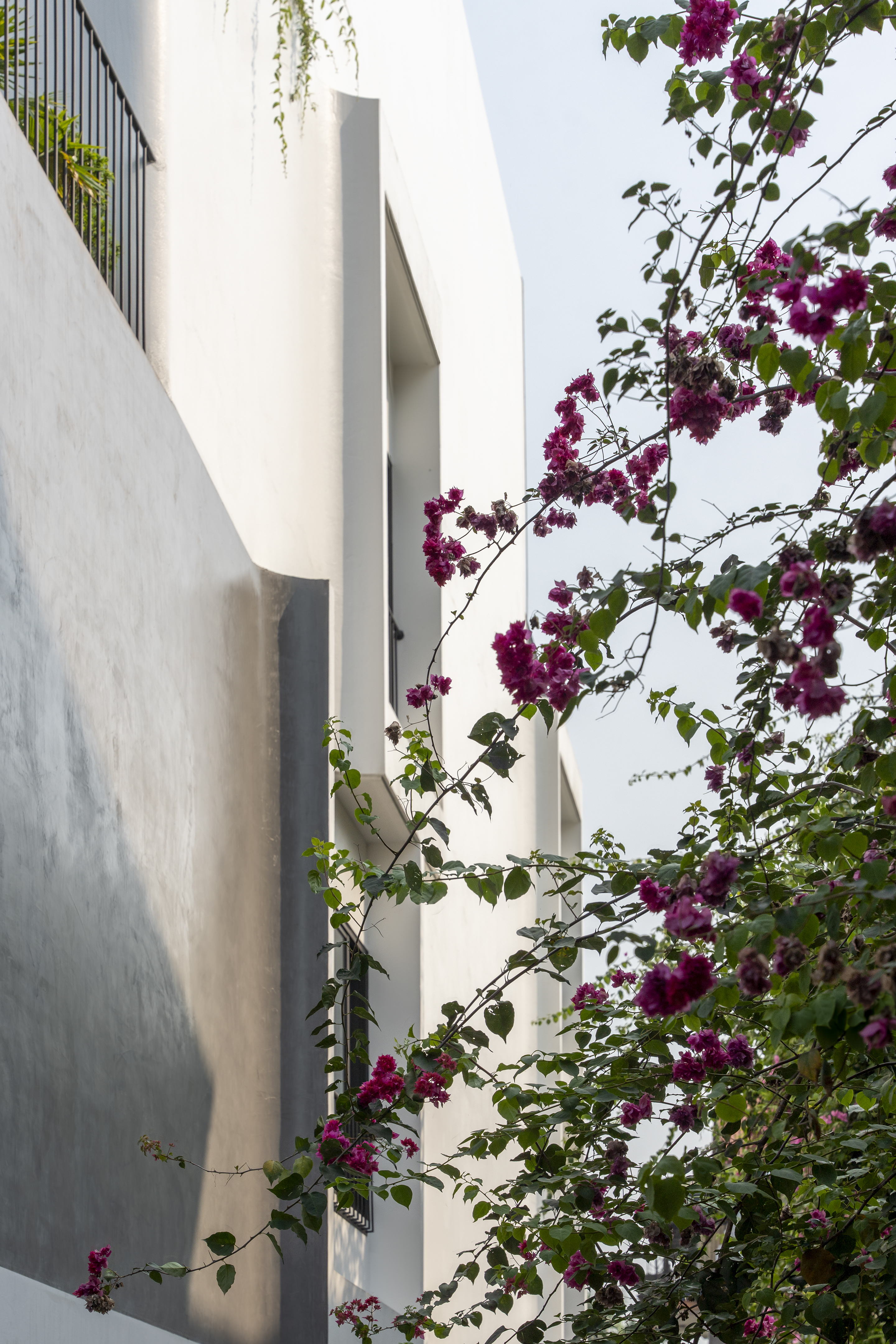 VAN TRI HOUSE by T3A.Atelier - Architizer