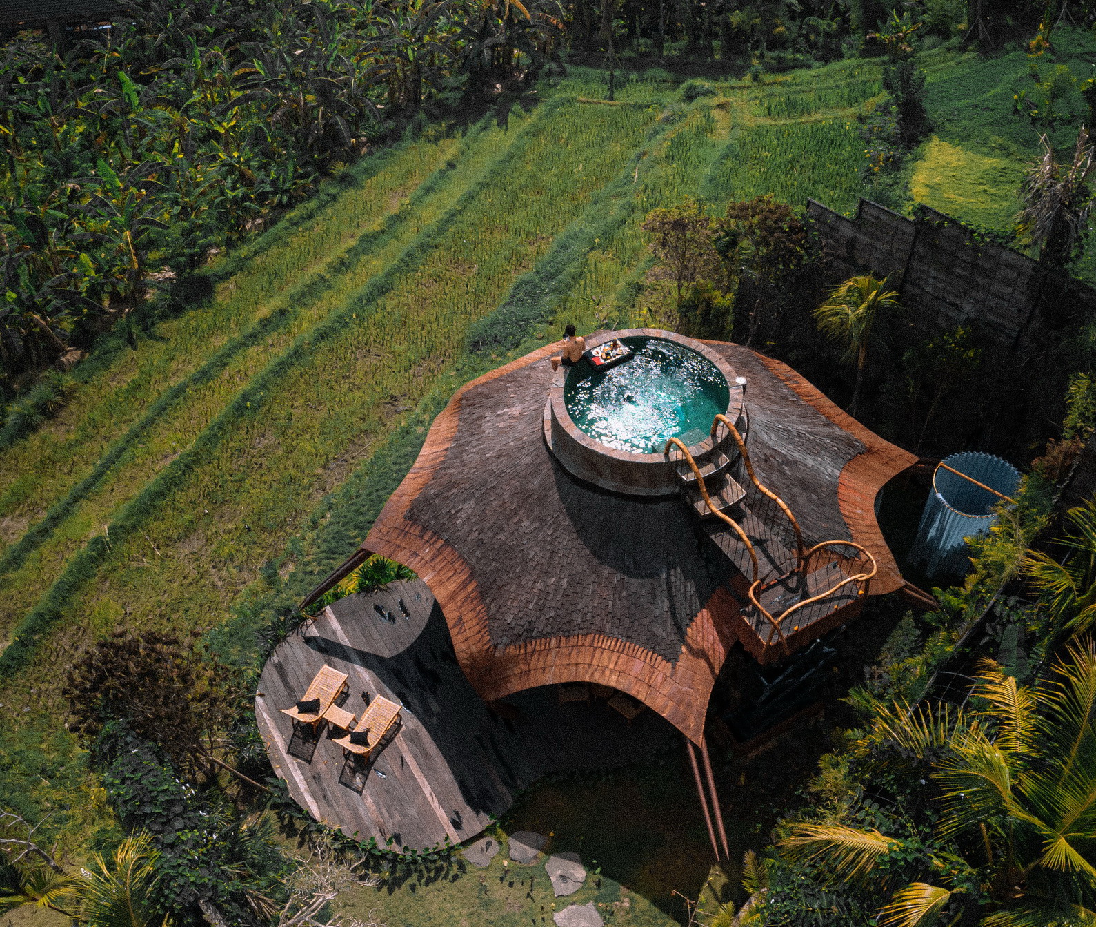 Octopus House by Veluvana by Studio WNA - Architizer