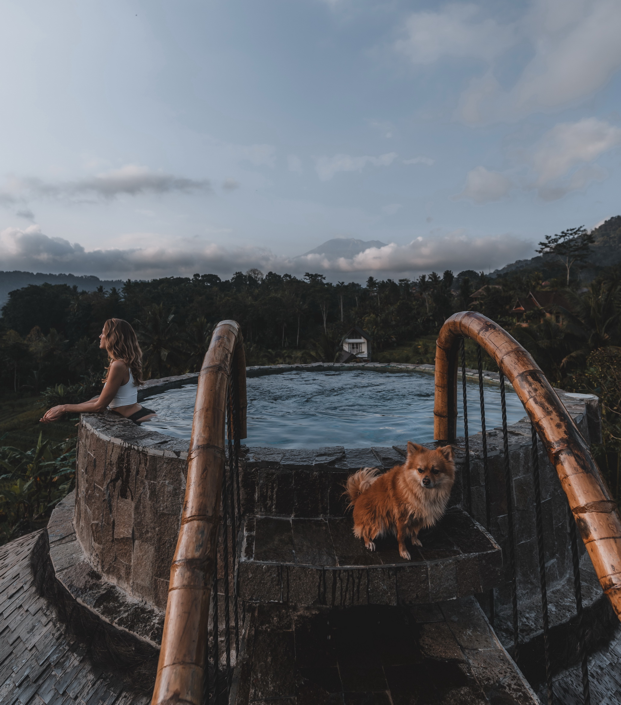 Octopus House by Veluvana by Studio WNA - Architizer