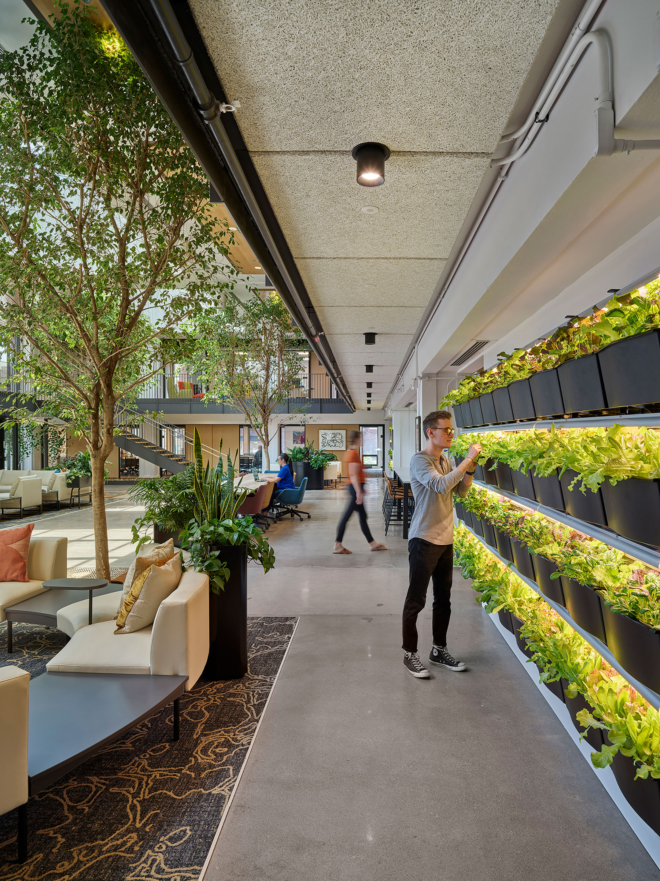 Stanley Center for Peace and Security by Neumann Monson Architects ...