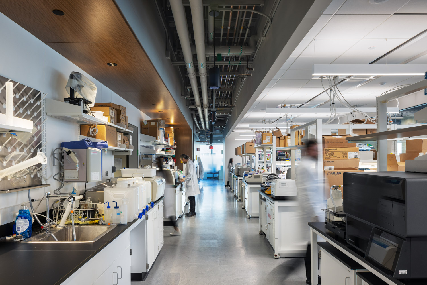 Mayo Clinic Anna-Maria and Stephen Kellen Building by HDR - Architizer