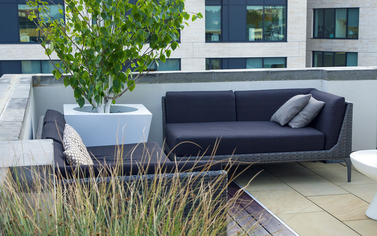 King’s Cross Roof Garden: An Art Deco terrace above Regent’s canal by ...