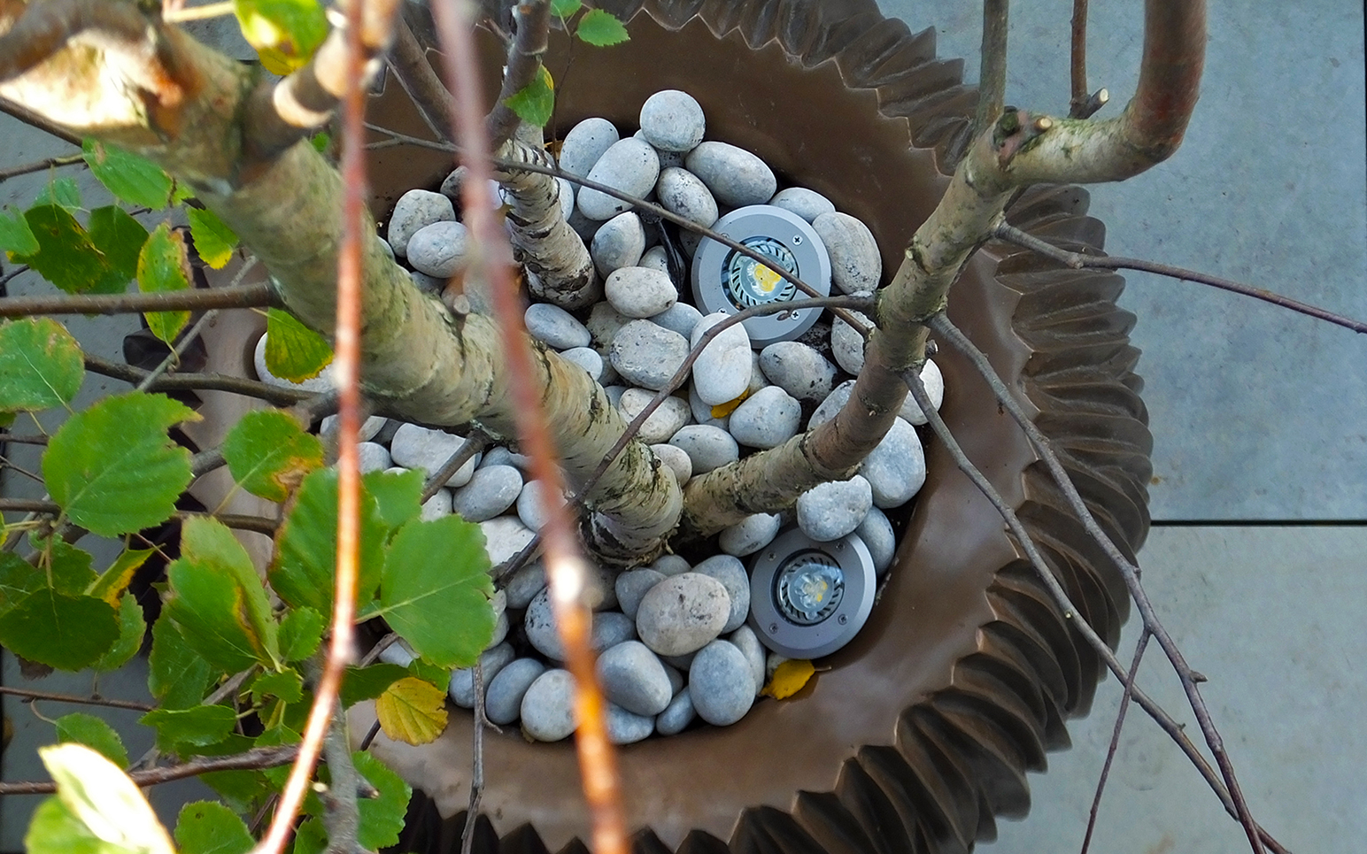 Wapping Roof Garden Design: Rooftop Originality in East London by ...