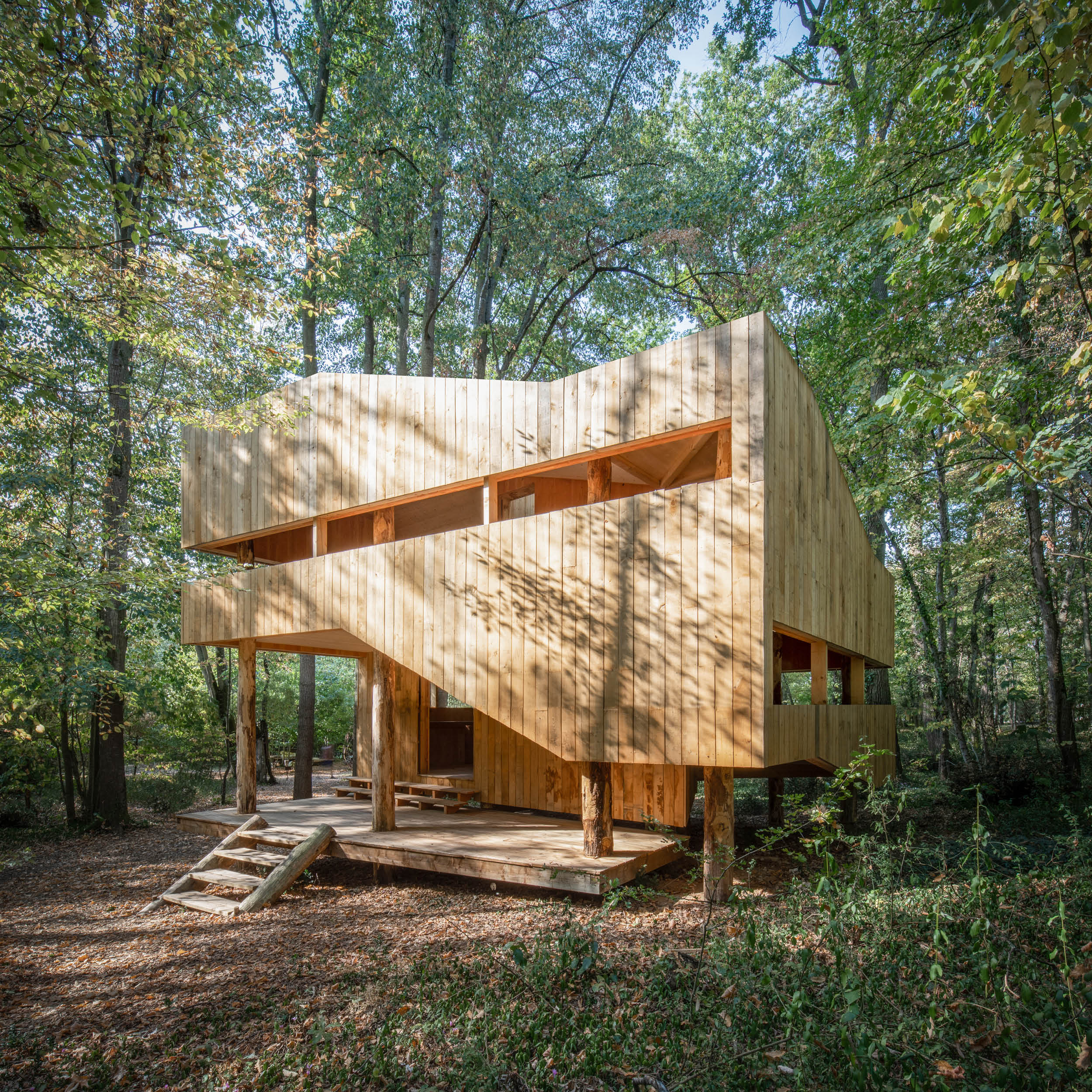 100% Wooden House by LOCAL - Architizer