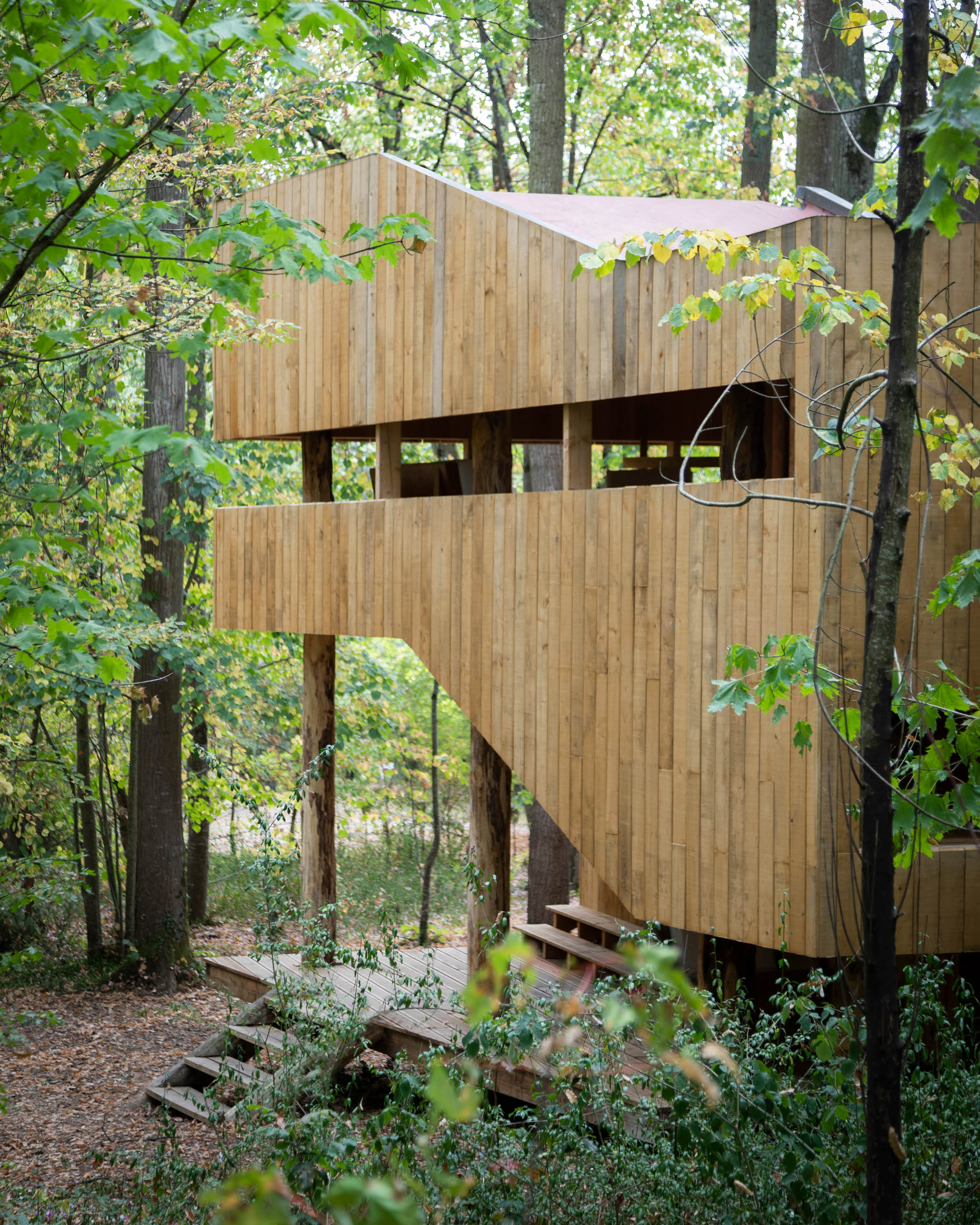 100% Wooden House by LOCAL - Architizer