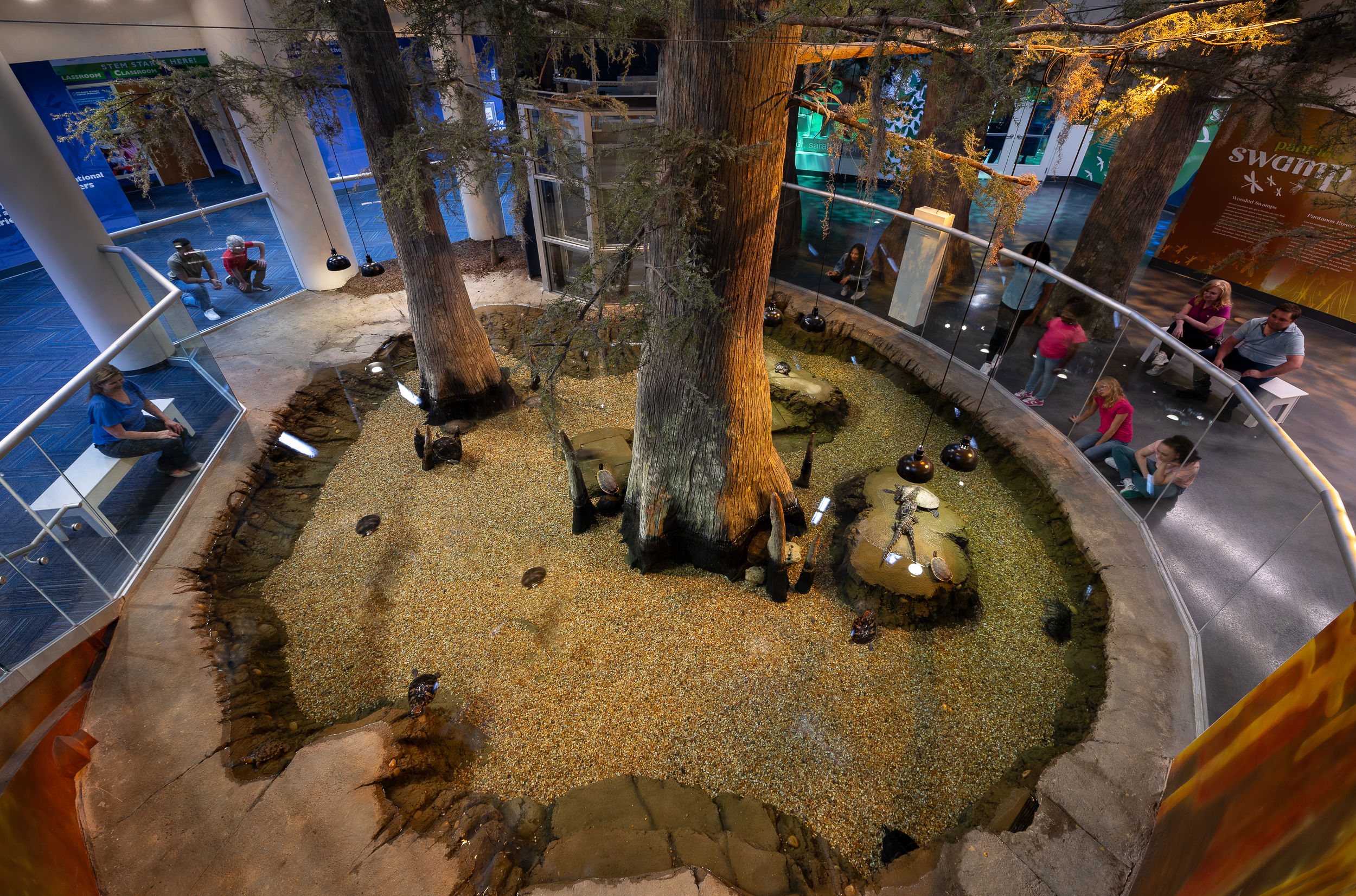 Orlando Science Center - Life by Roto - Architizer