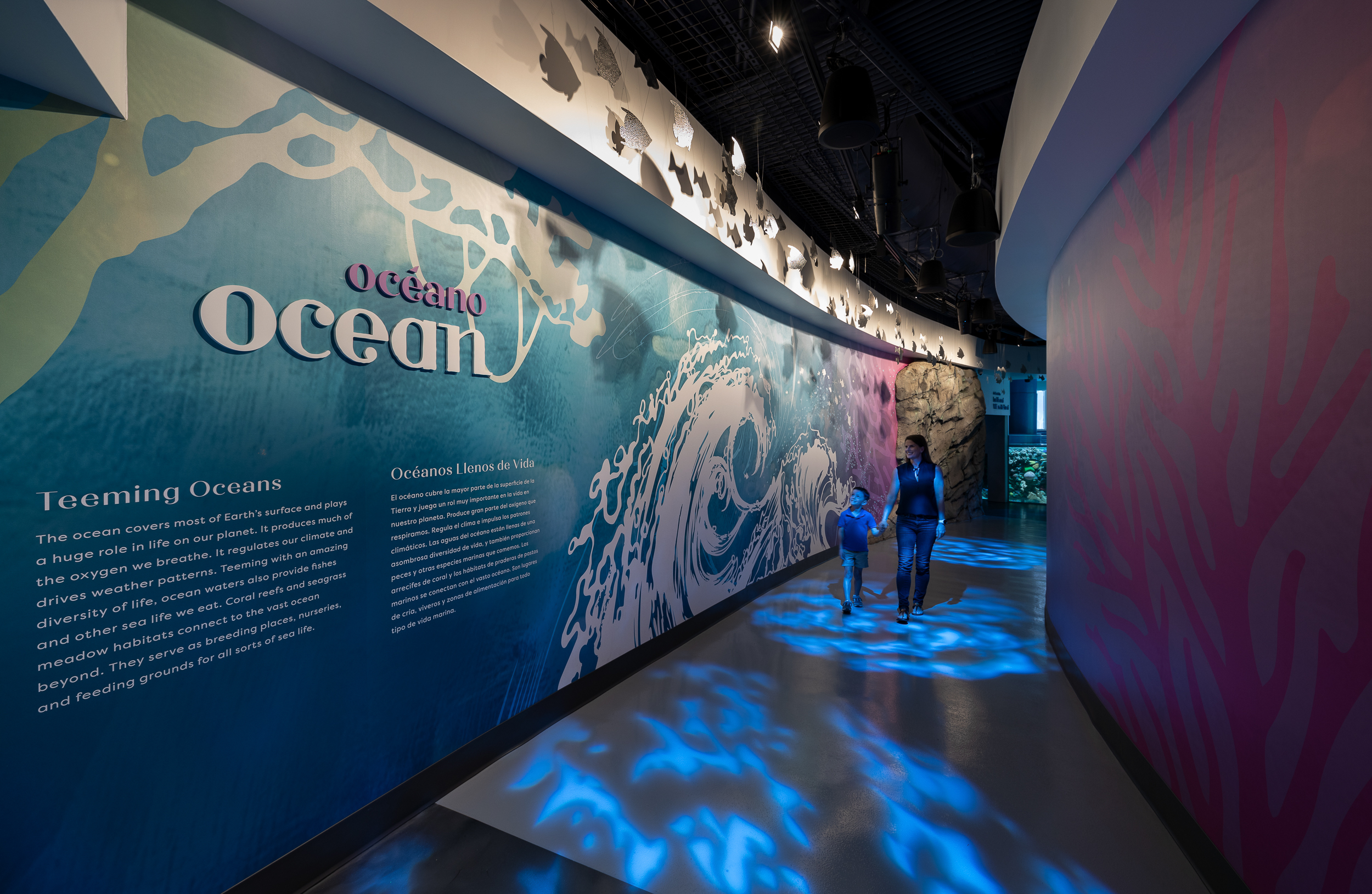 Orlando Science Center - Life by Roto - Architizer