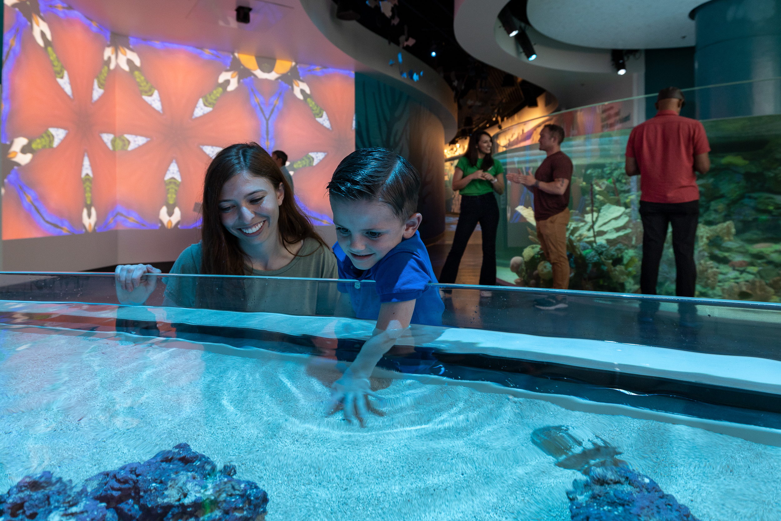 Orlando Science Center - Life by Roto - Architizer