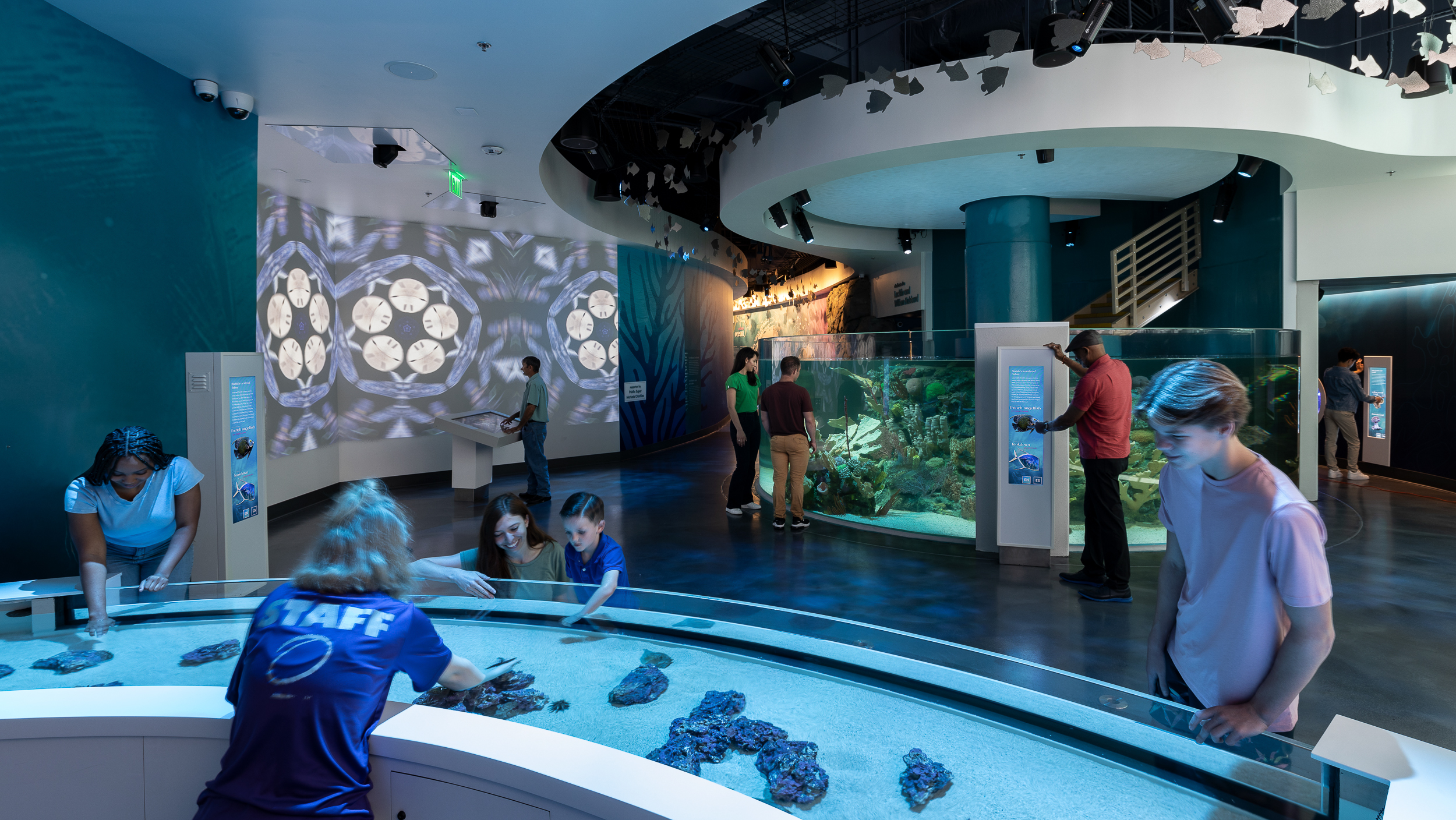 Orlando Science Center - Life by Roto - Architizer