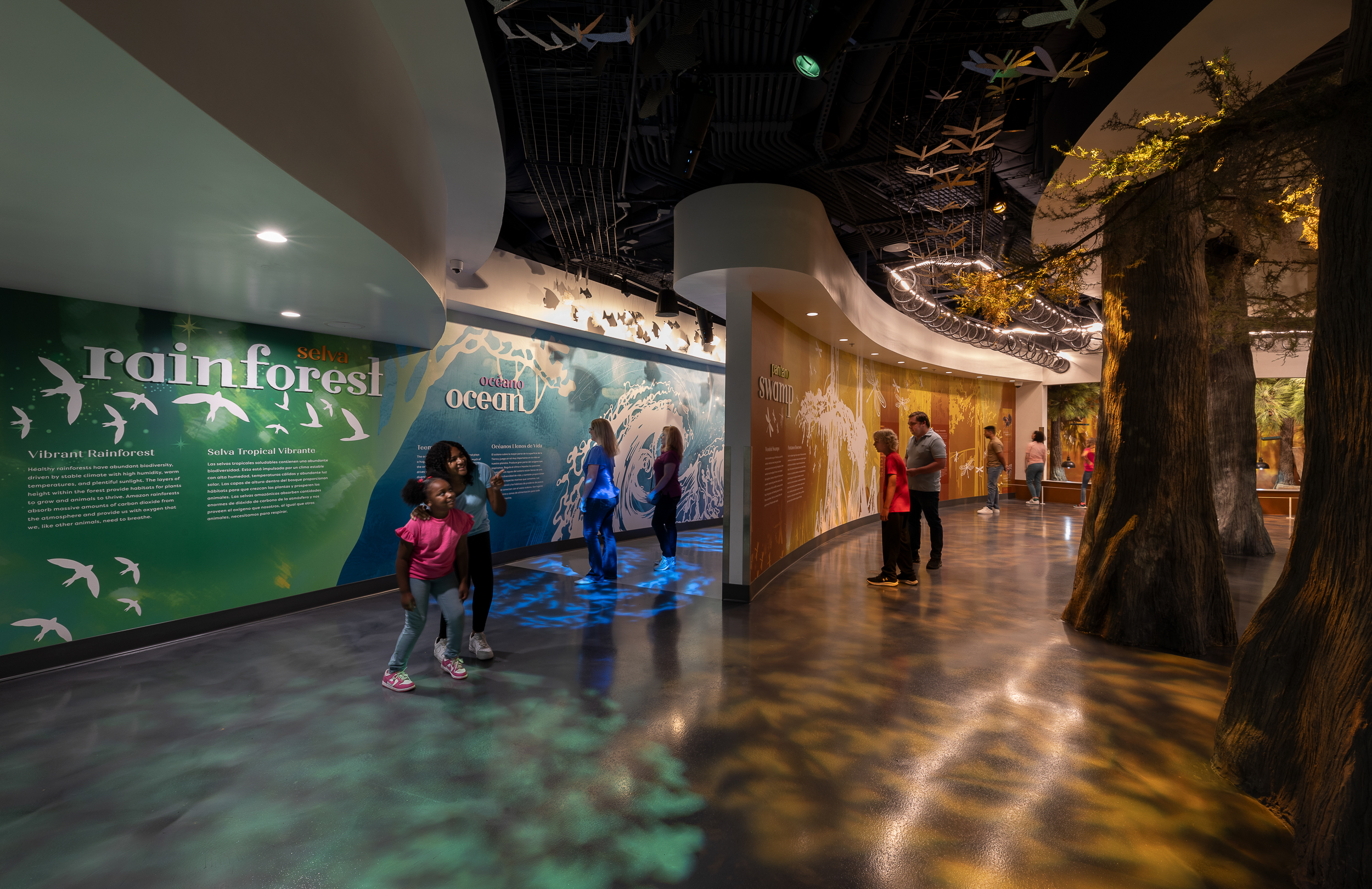 Orlando Science Center - Life by Roto - Architizer