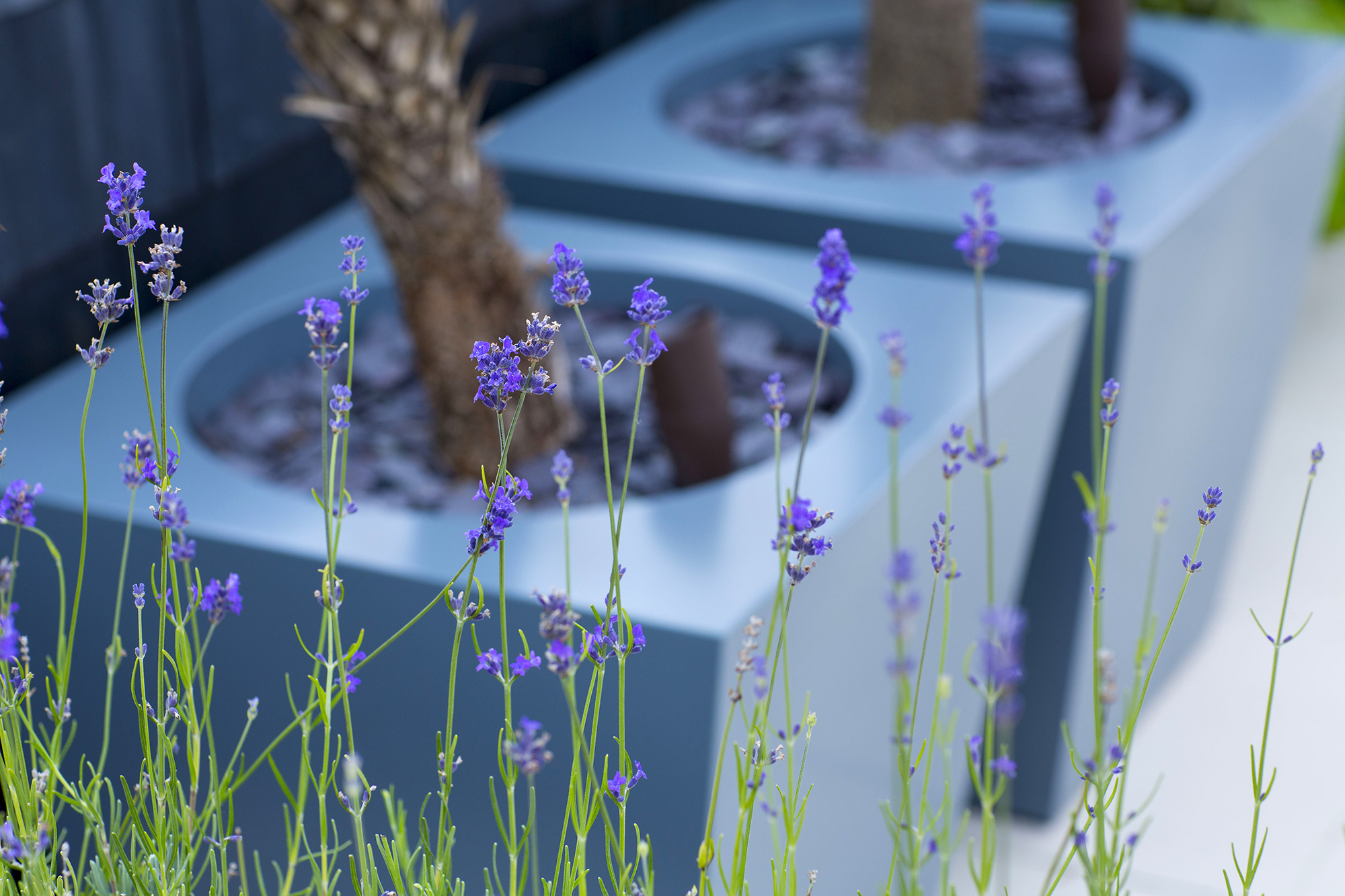 Strand Roof Garden: Landmarks, Outdoor Kitchen & Mediterranean Verdure ...