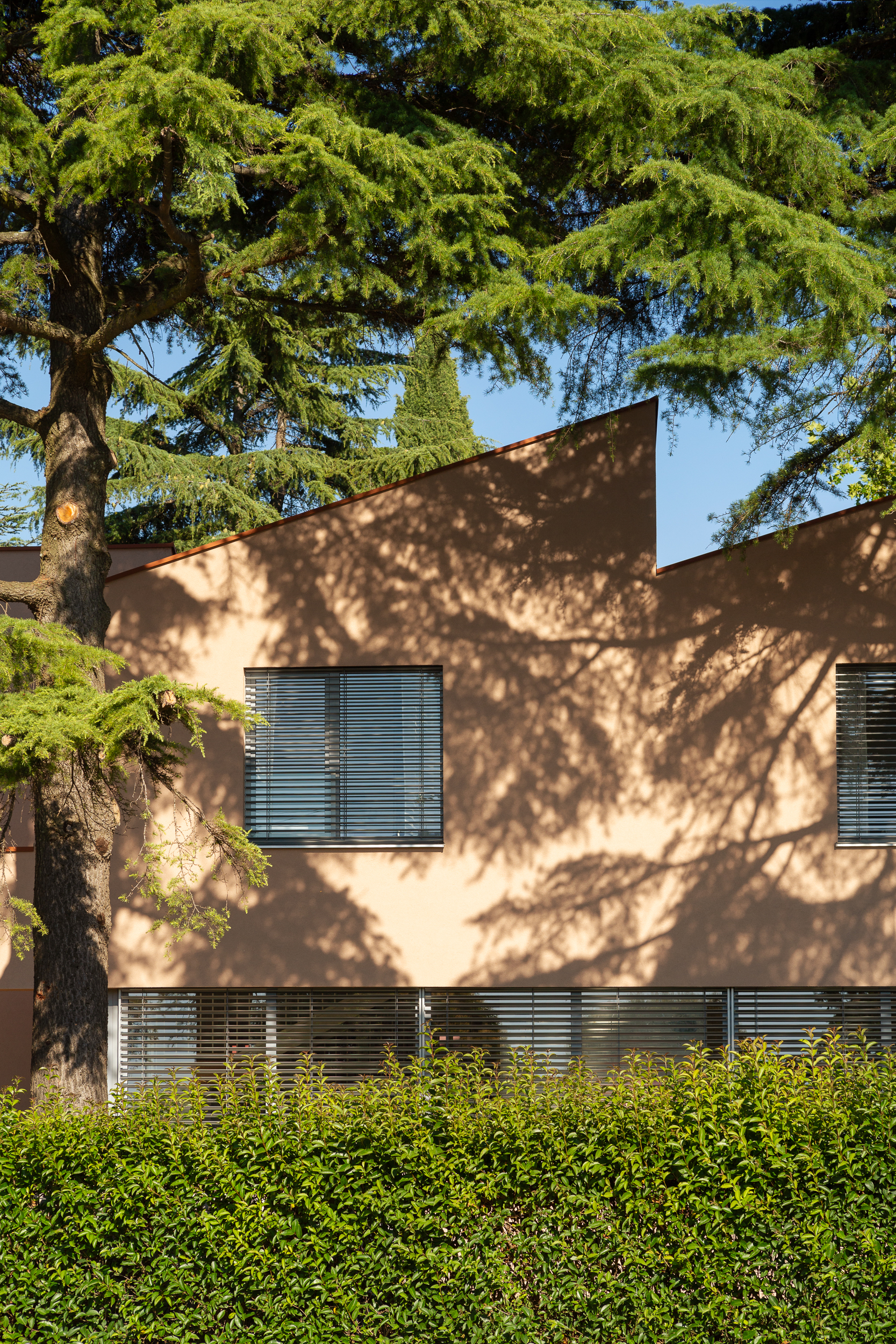 House under the pines by Konzola Arhitektura - Architizer