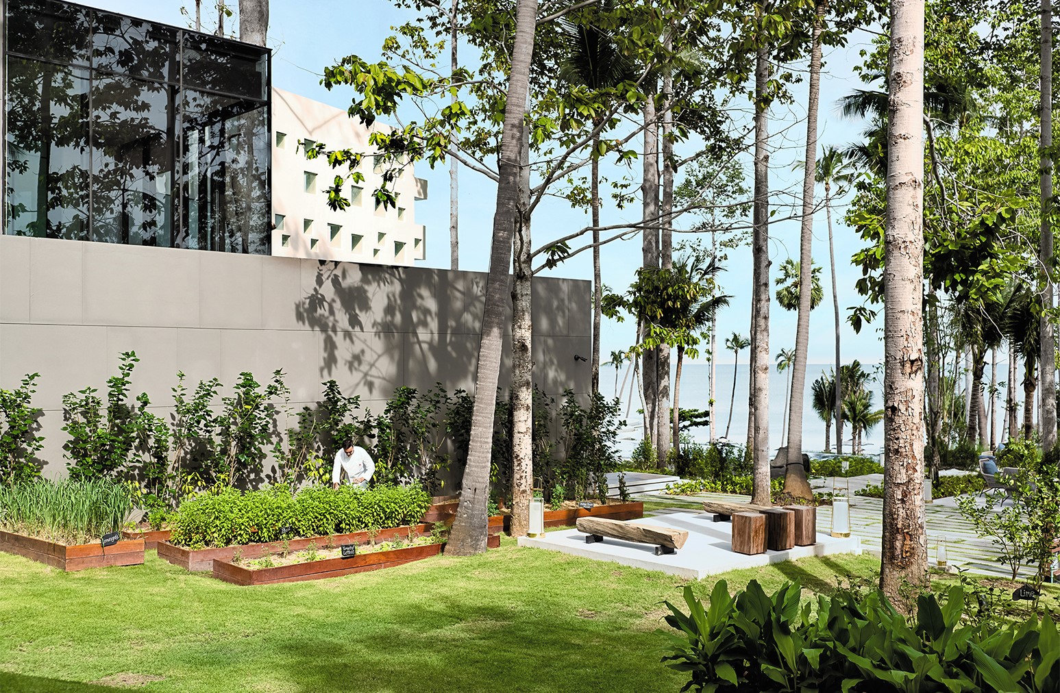 Hyatt Regency Koh Samui by P Landscape Co., Ltd. - Architizer