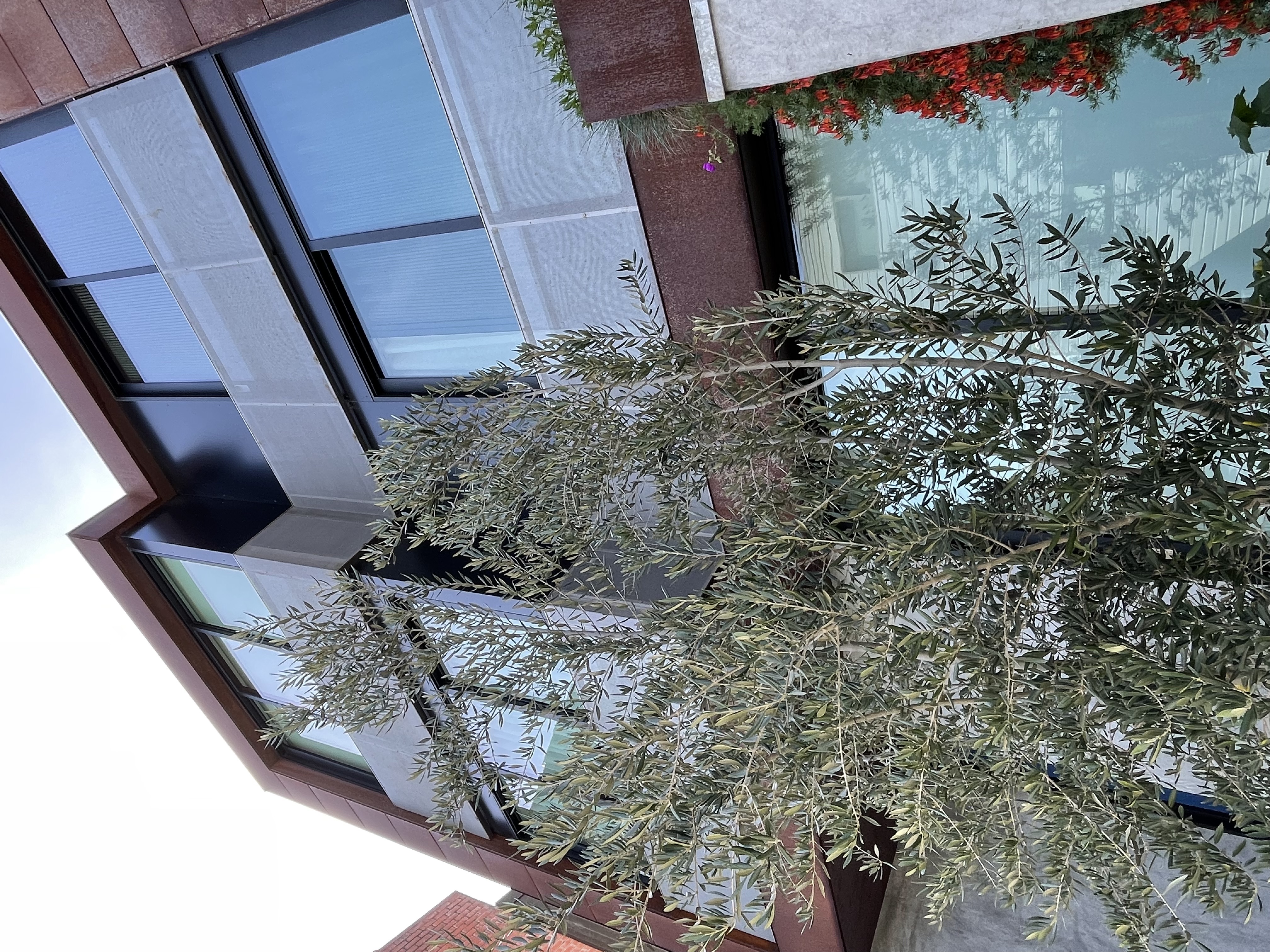 Noe Stack by Zack | de Vito Architecture + Construction - Architizer