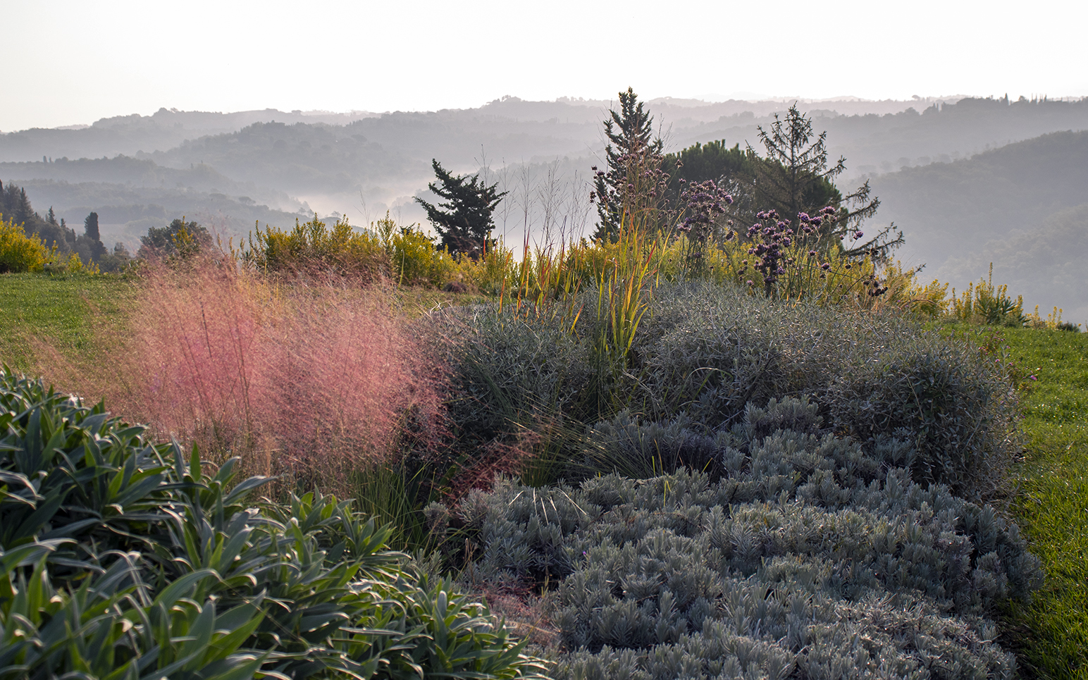 Tuscany Country Garden: Art & Biodiversity by Mylandscapes Roof Garden ...