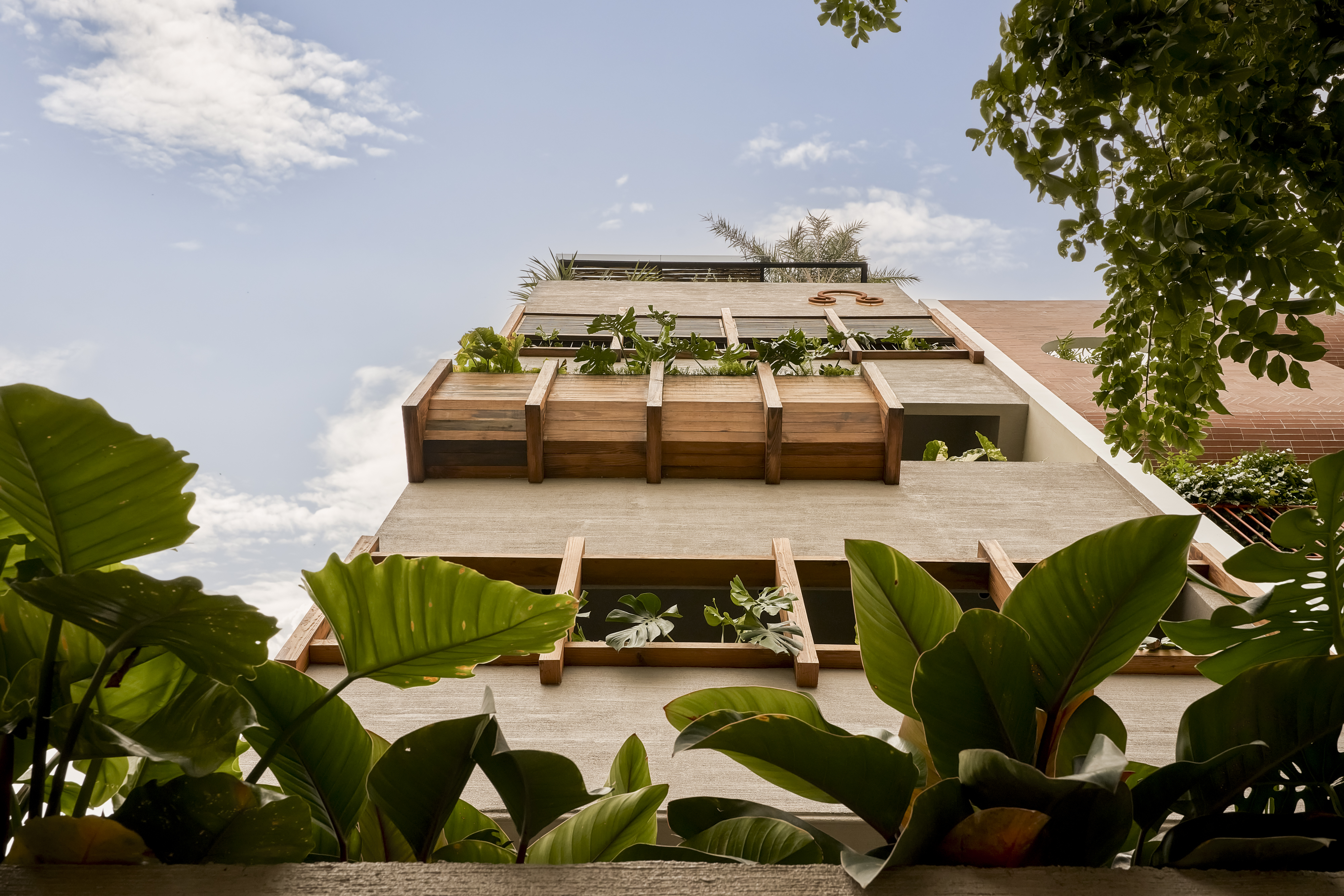 Octopus House - Sustainable Multifunctional Living in Vietnam by Tar ...