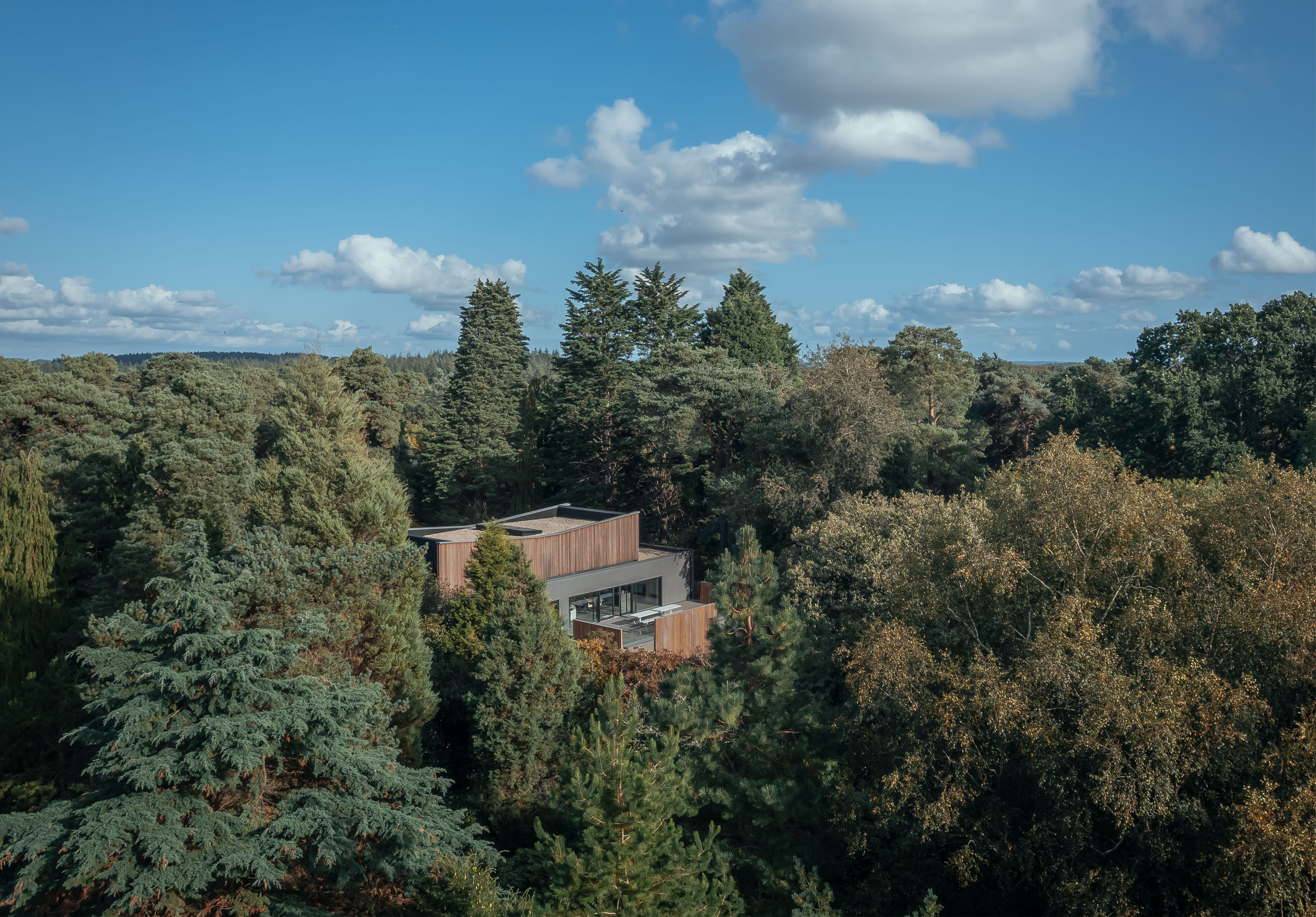 Woodland House by McLEAN QUINLAN - Architizer