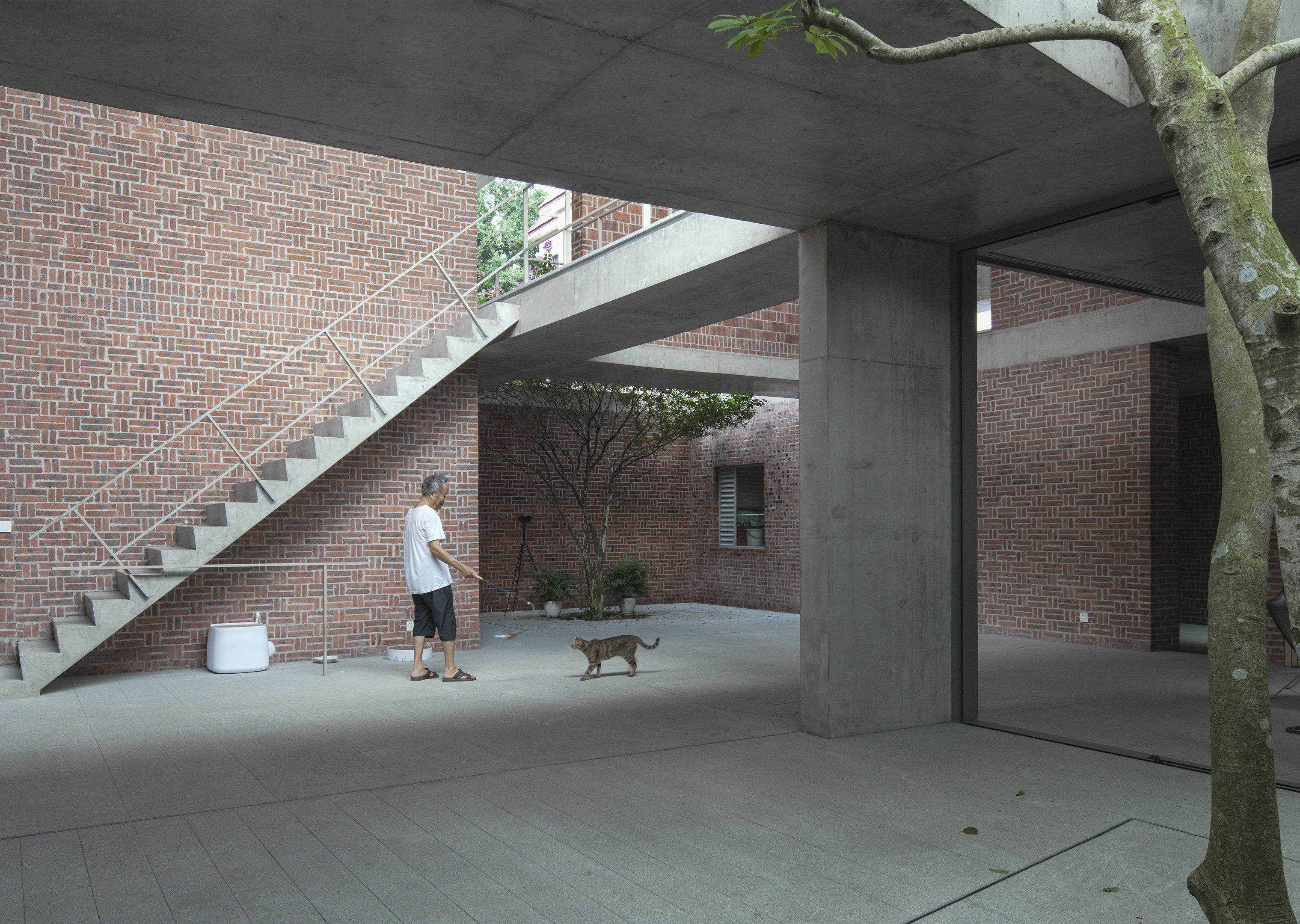 Canton House by WAU - Architizer