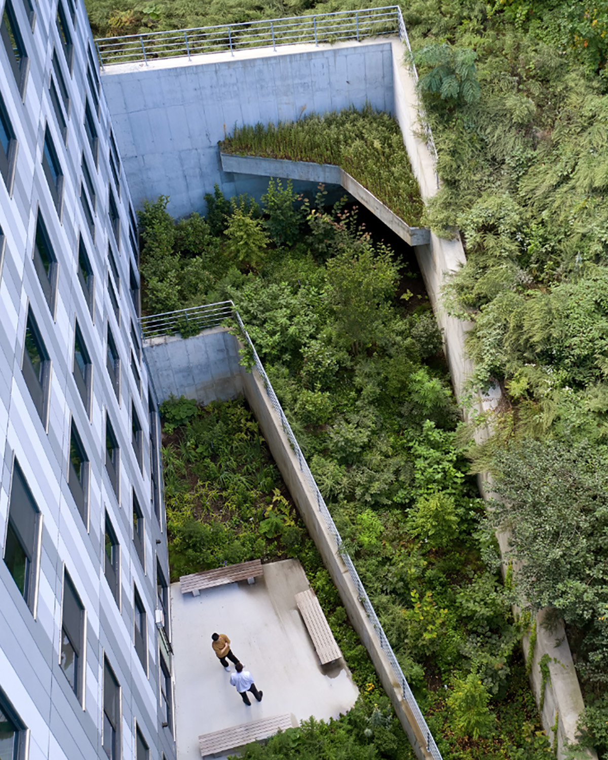 Idea 4077172: The Hillside Senior Affordable Passive House Community by ...