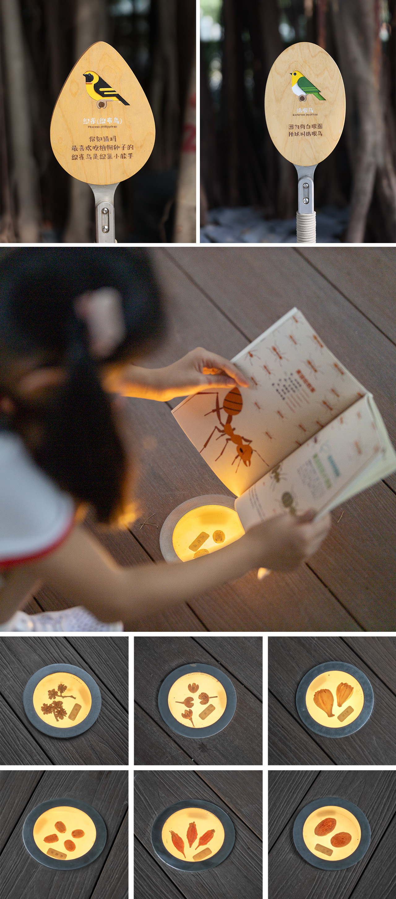 Treetopia Park of Animals by antao - Architizer