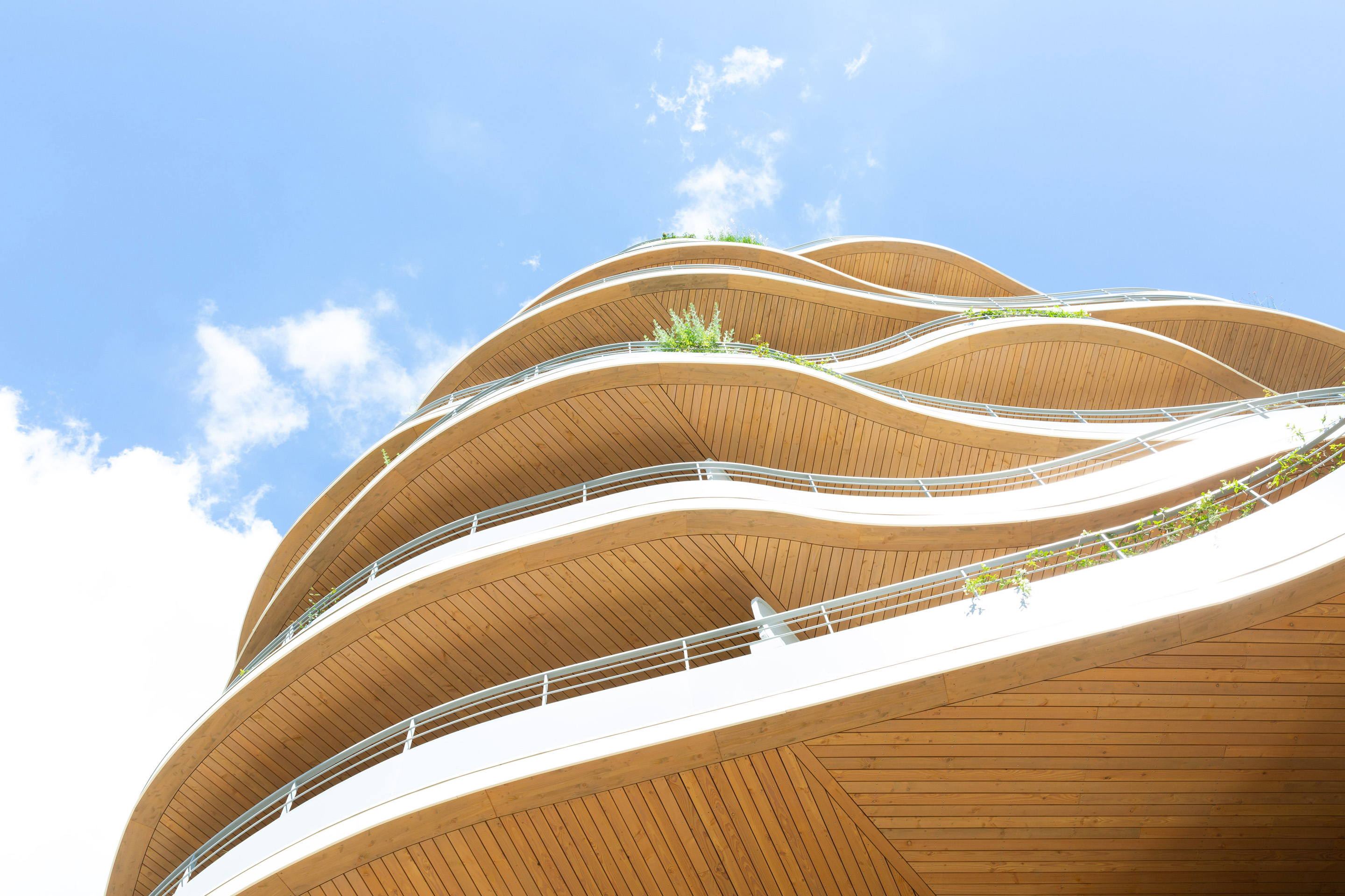 ARBORESCENCE by WY-TO - Architizer