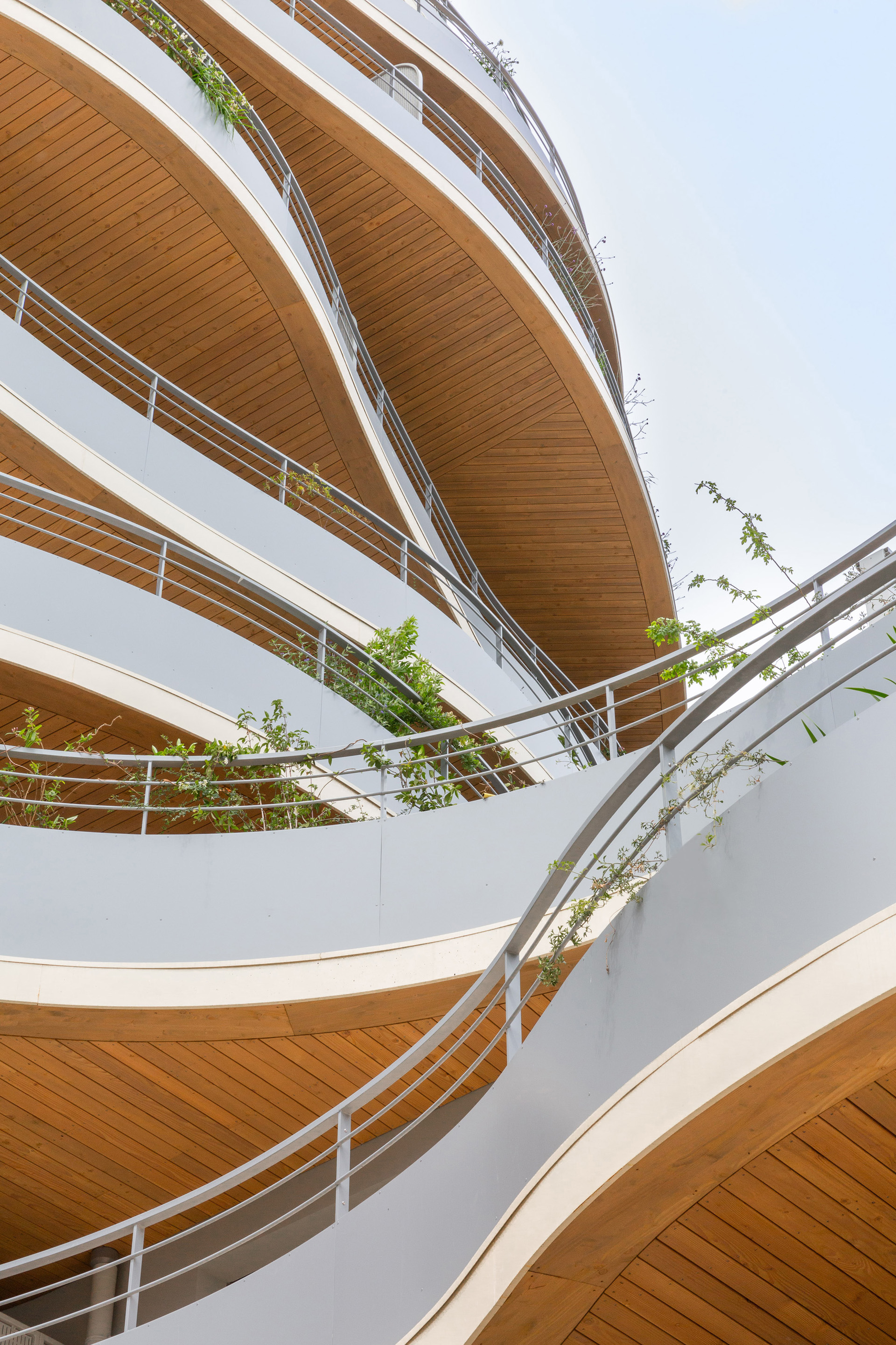 ARBORESCENCE by WY-TO - Architizer
