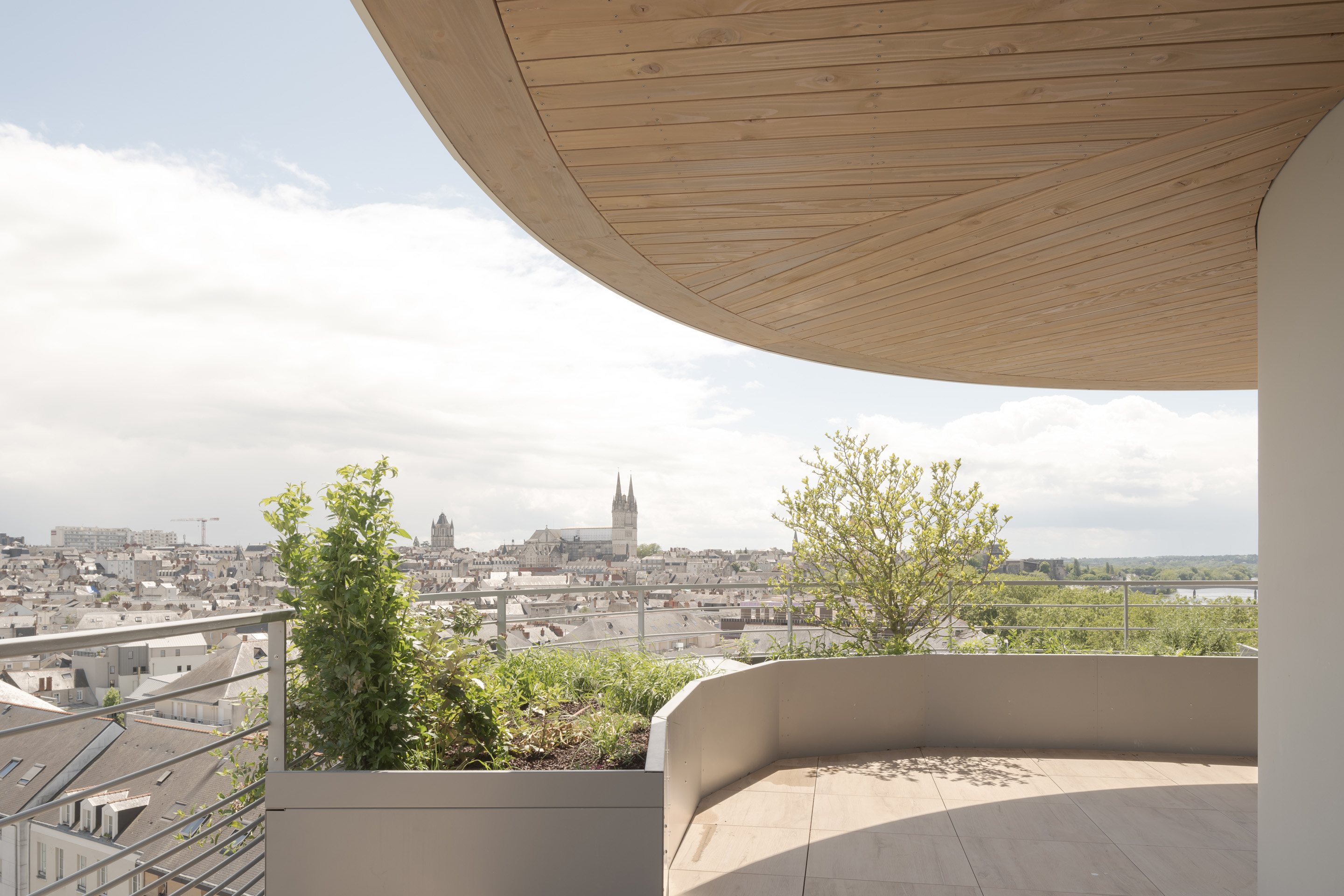 ARBORESCENCE by WY-TO - Architizer