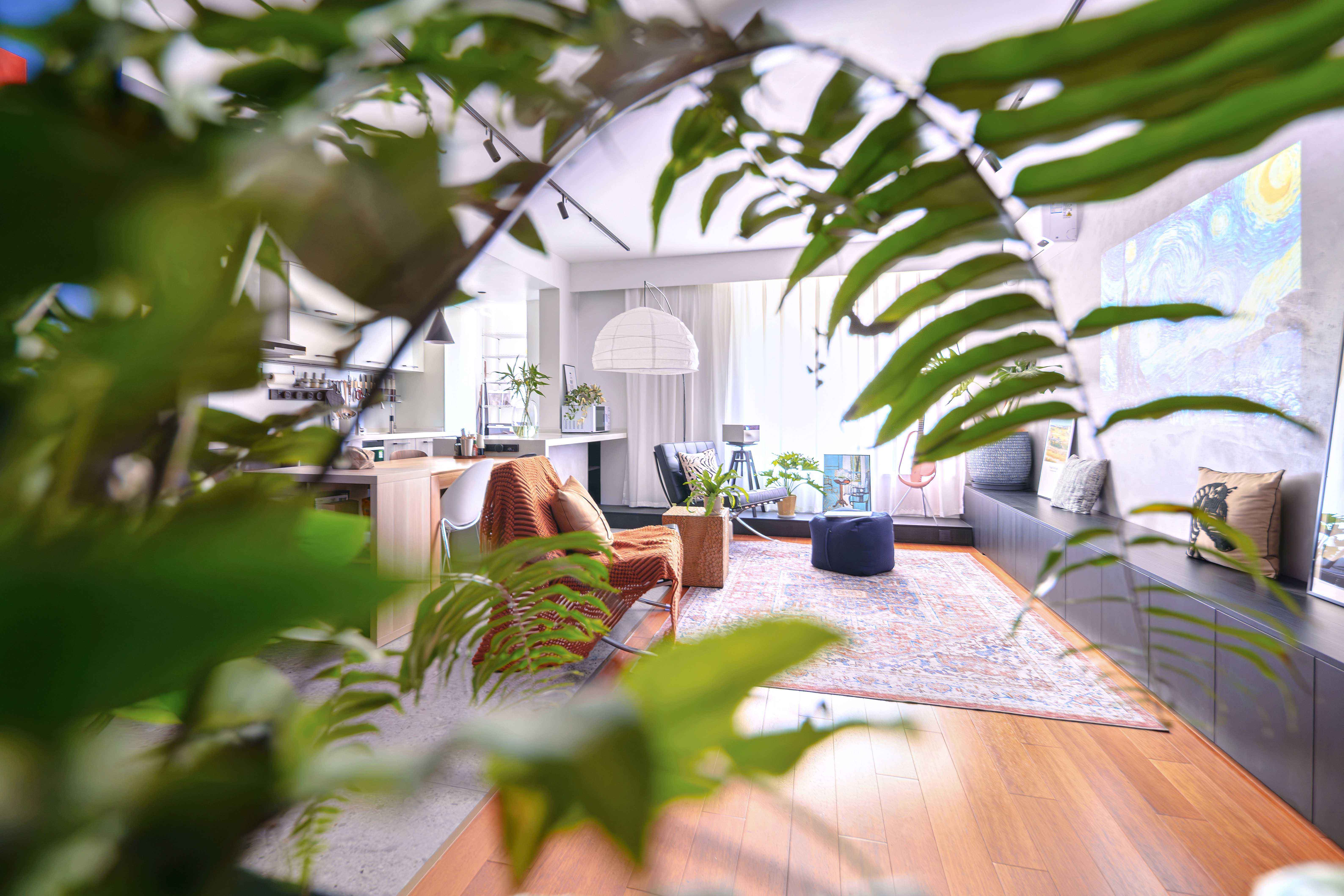 The Onion Apartment —— A self-anatomy experiment by WAG Architects 犬摇建筑 ...