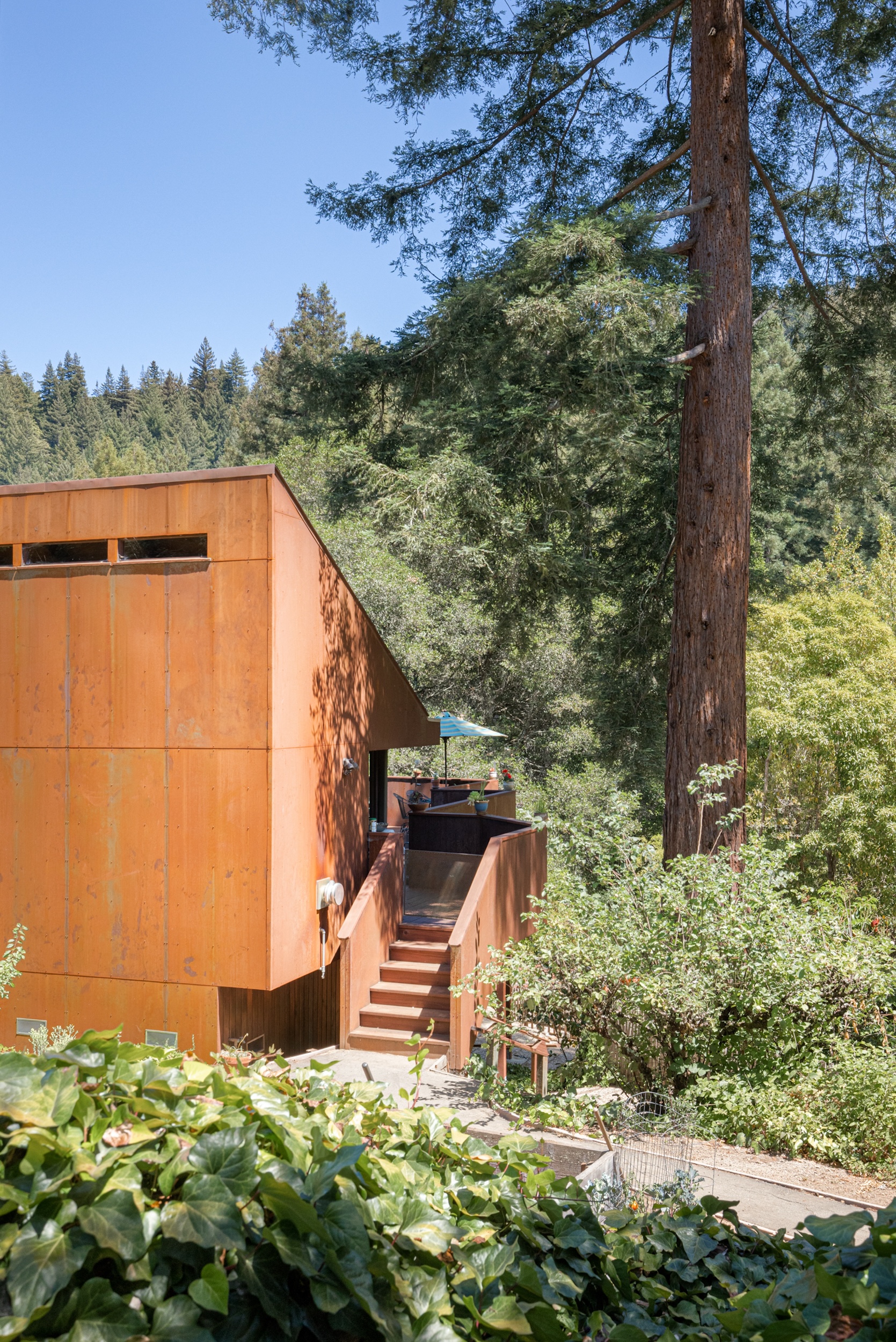 Woodpecker by Fuse Architects + Builders - Architizer