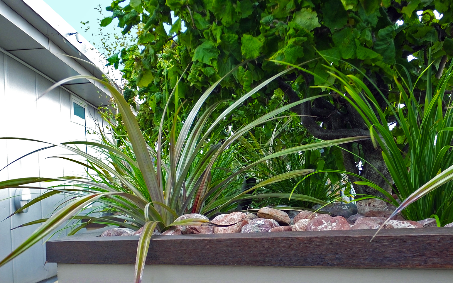 Chelsea Roof Terrace Garden Design by Mylandscapes Roof Garden Design ...