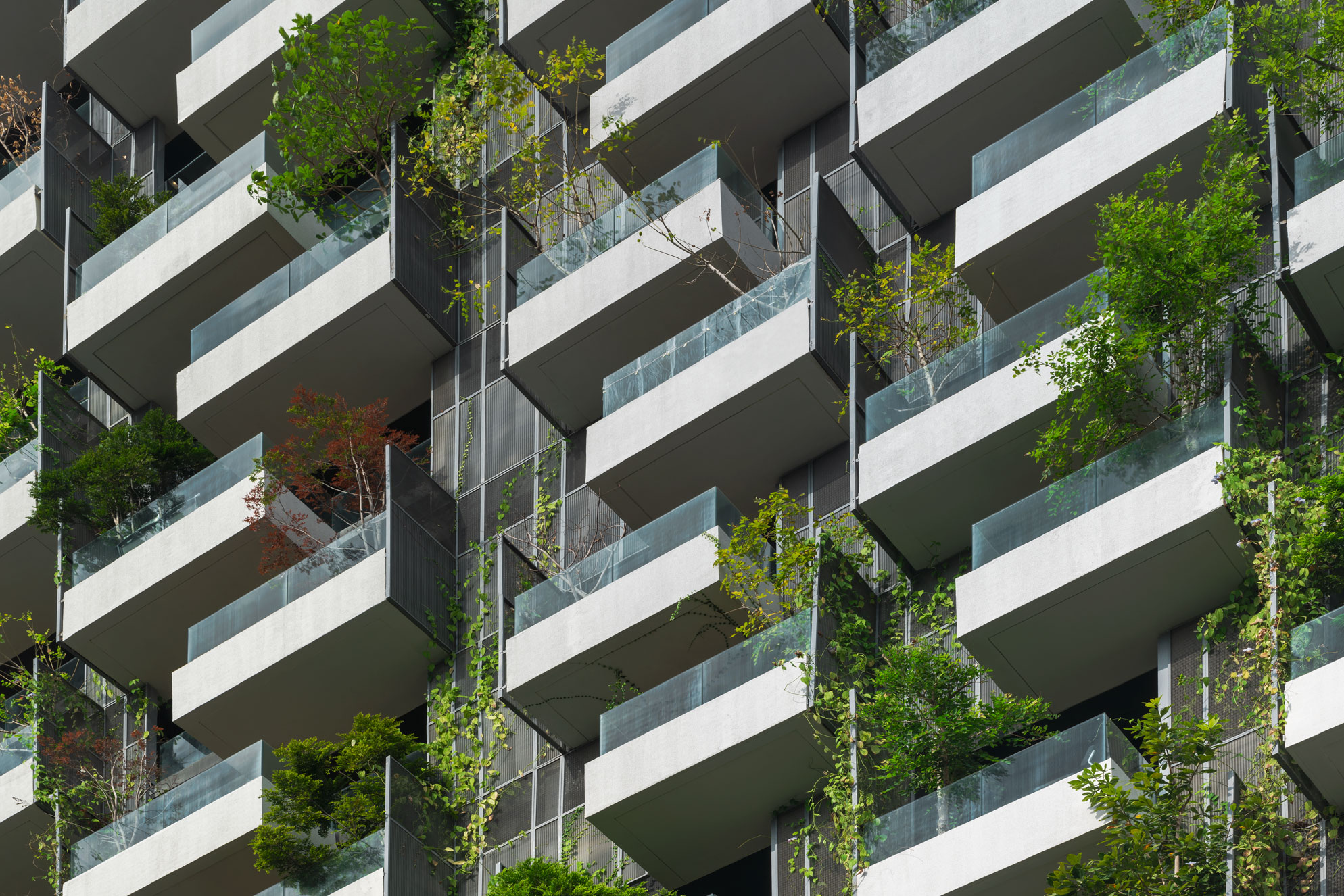 Siamese Exclusive 31 by Somdoon Architects - Architizer