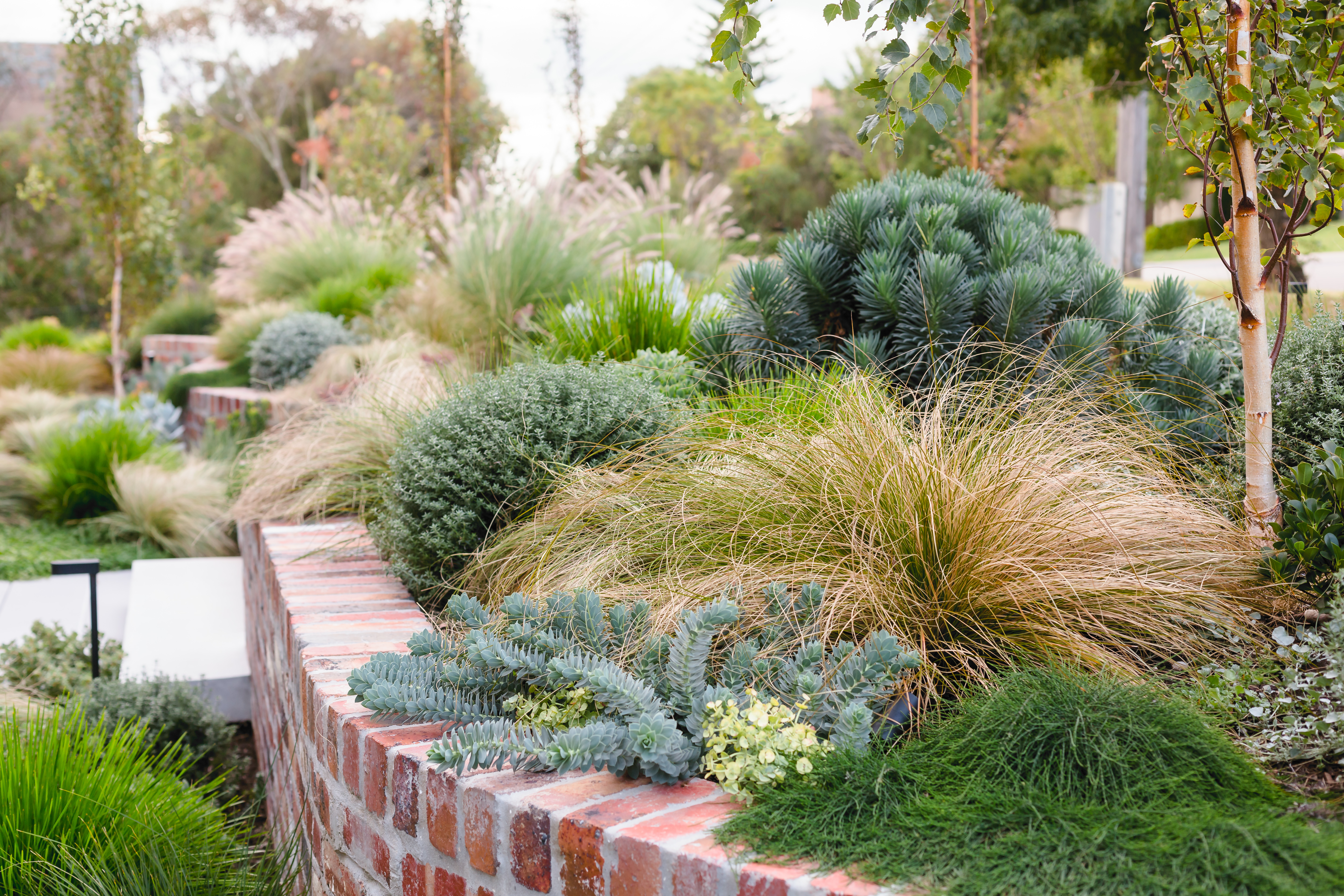 Herbert St by COS Design by COS Design - Architizer