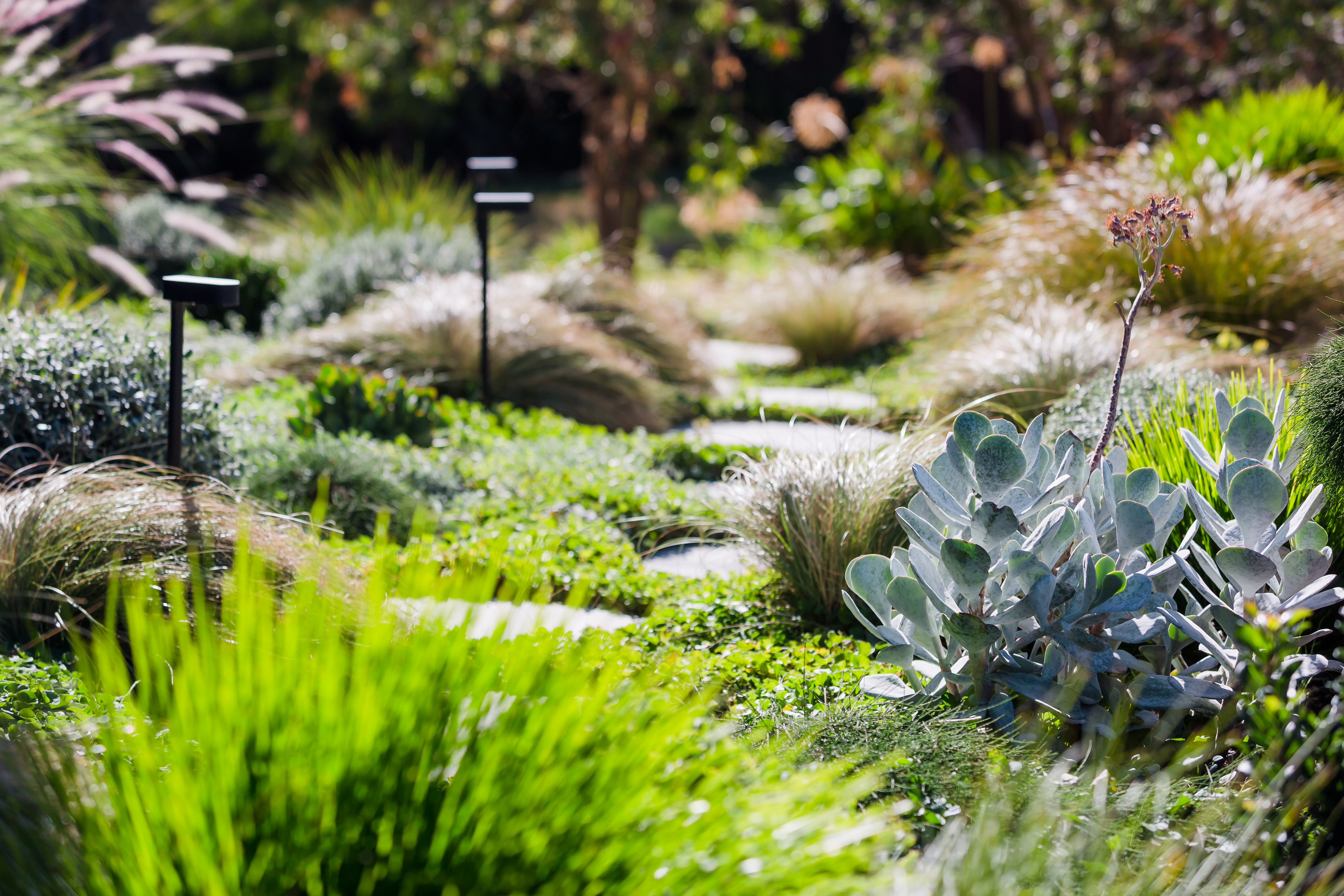 Herbert St by COS Design by COS Design - Architizer