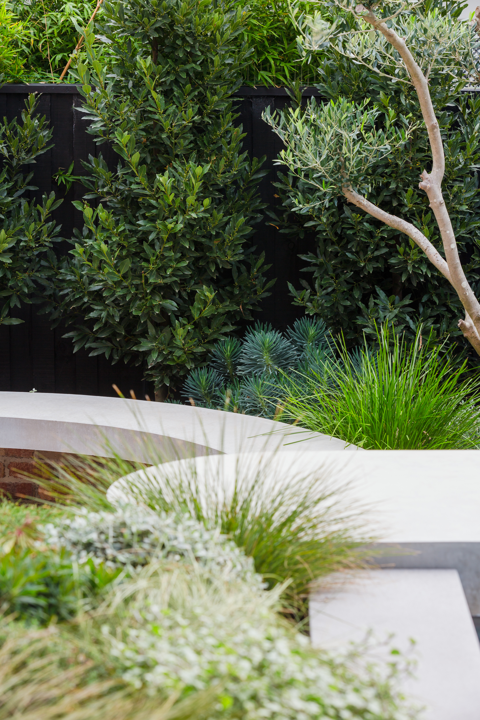 Herbert St by COS Design by COS Design - Architizer