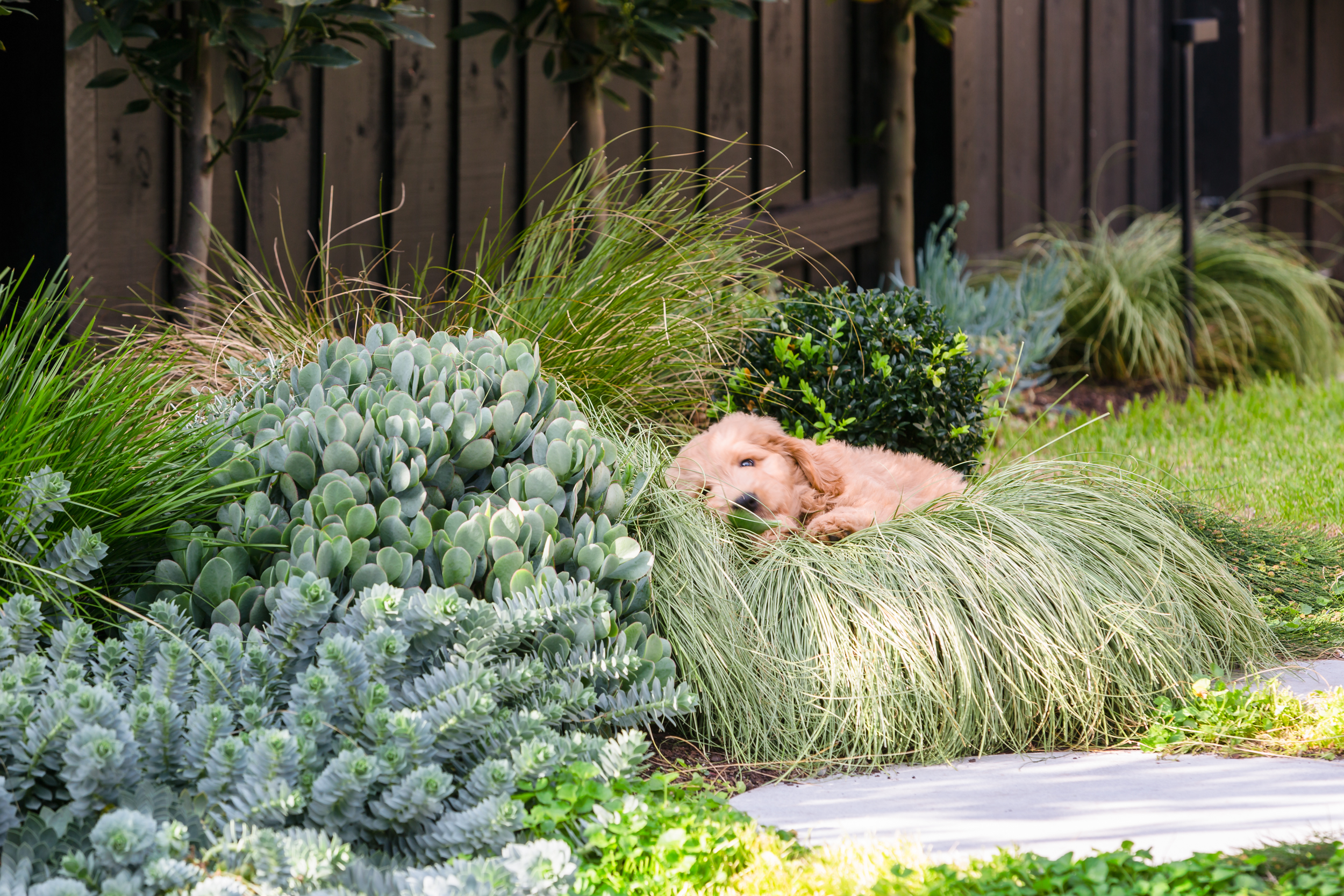 Herbert St by COS Design by COS Design - Architizer