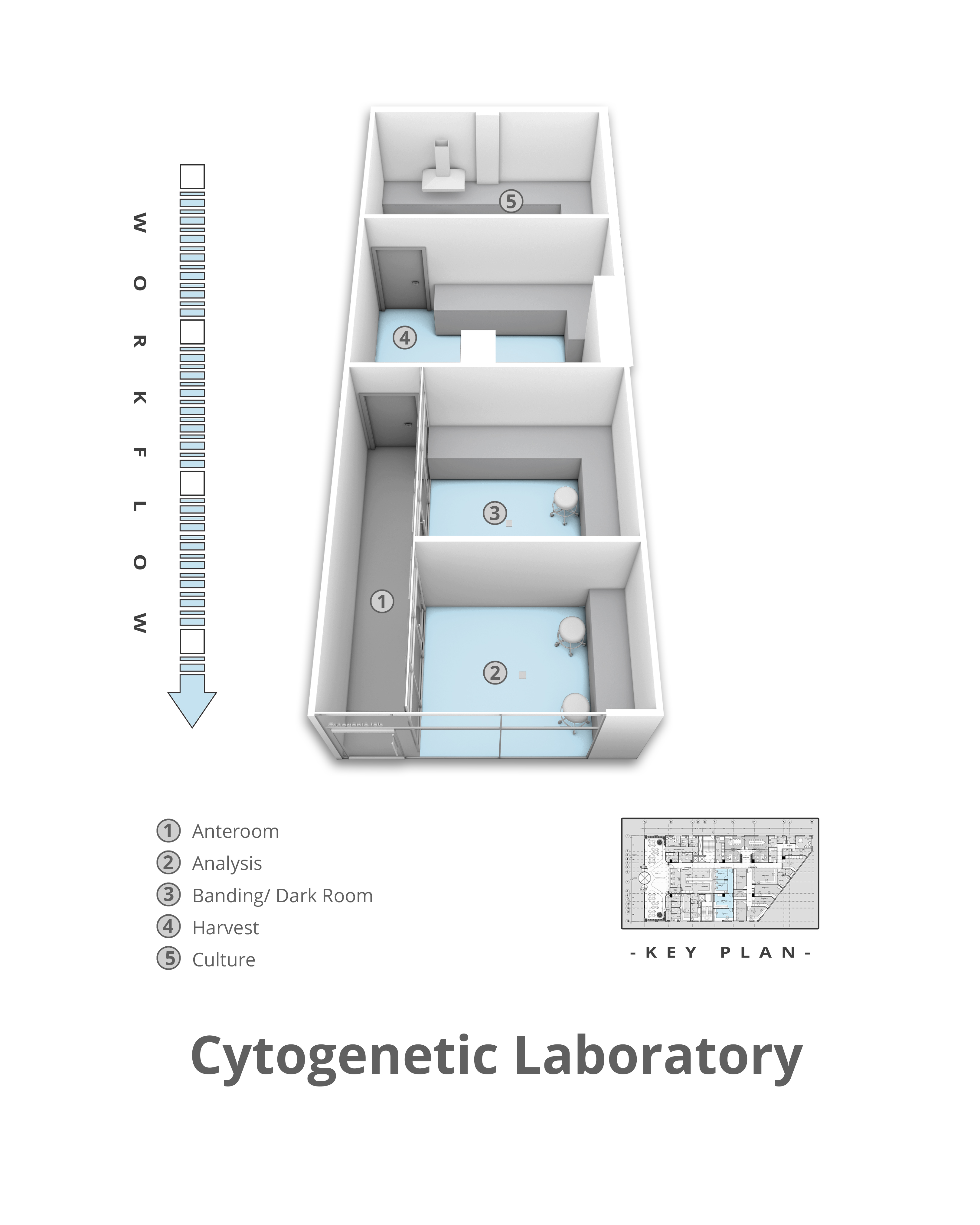 Bion Genetic Laboratory by ARCHMED Consulting Engineers - Architizer