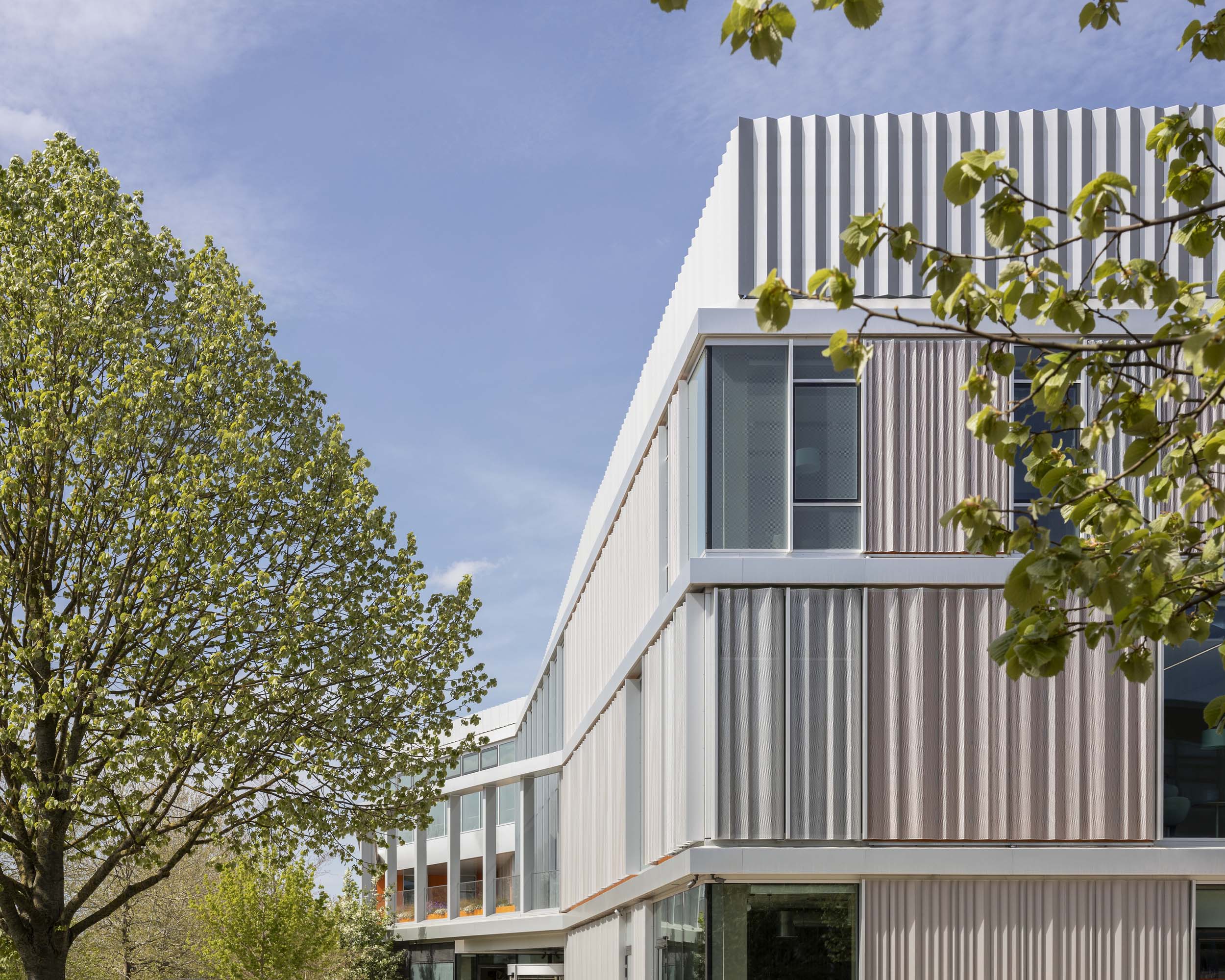 West Hub, University of Cambridge by Jestico + Whiles - Architizer