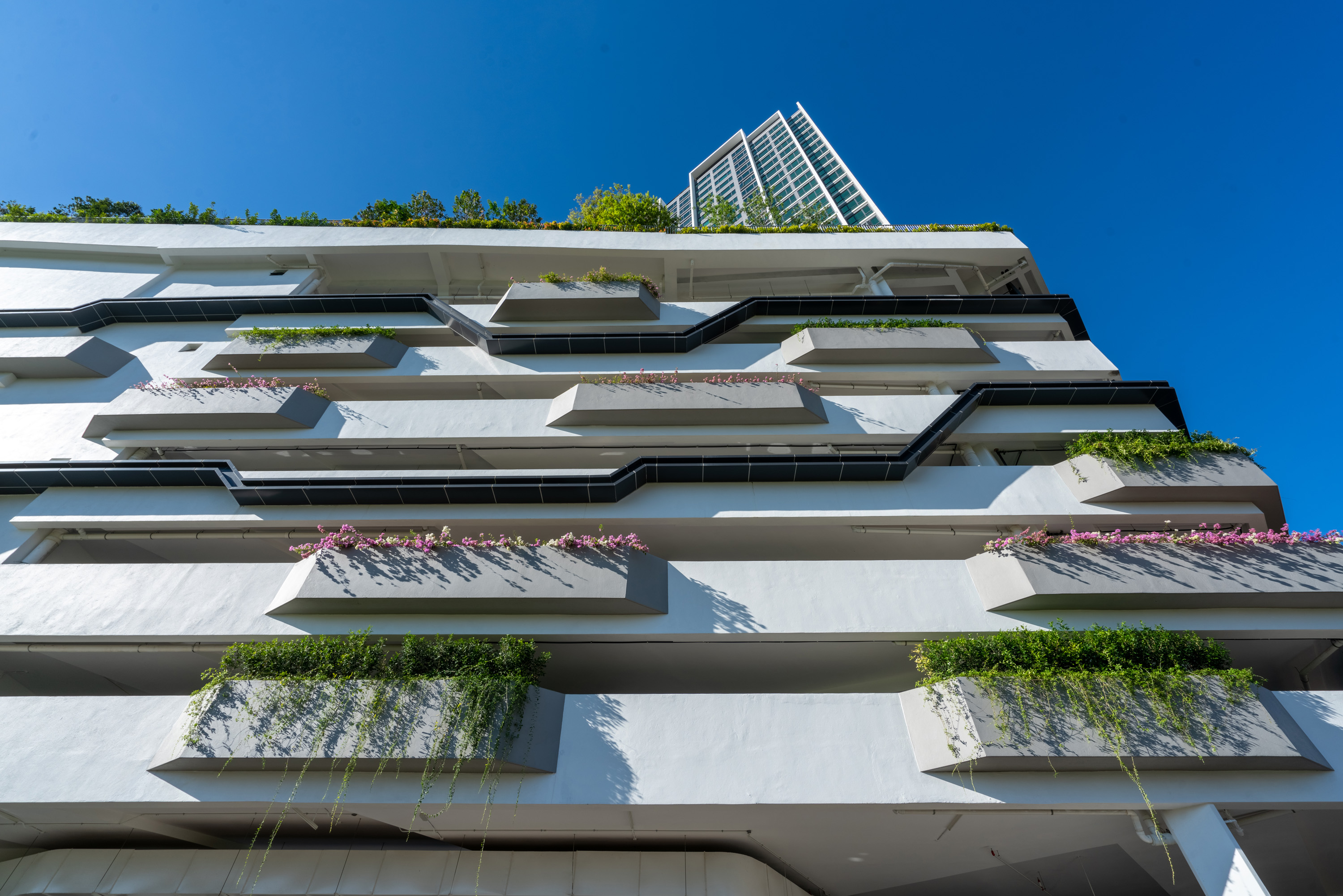 Greenfield Residence by ONG&ONG - Architizer