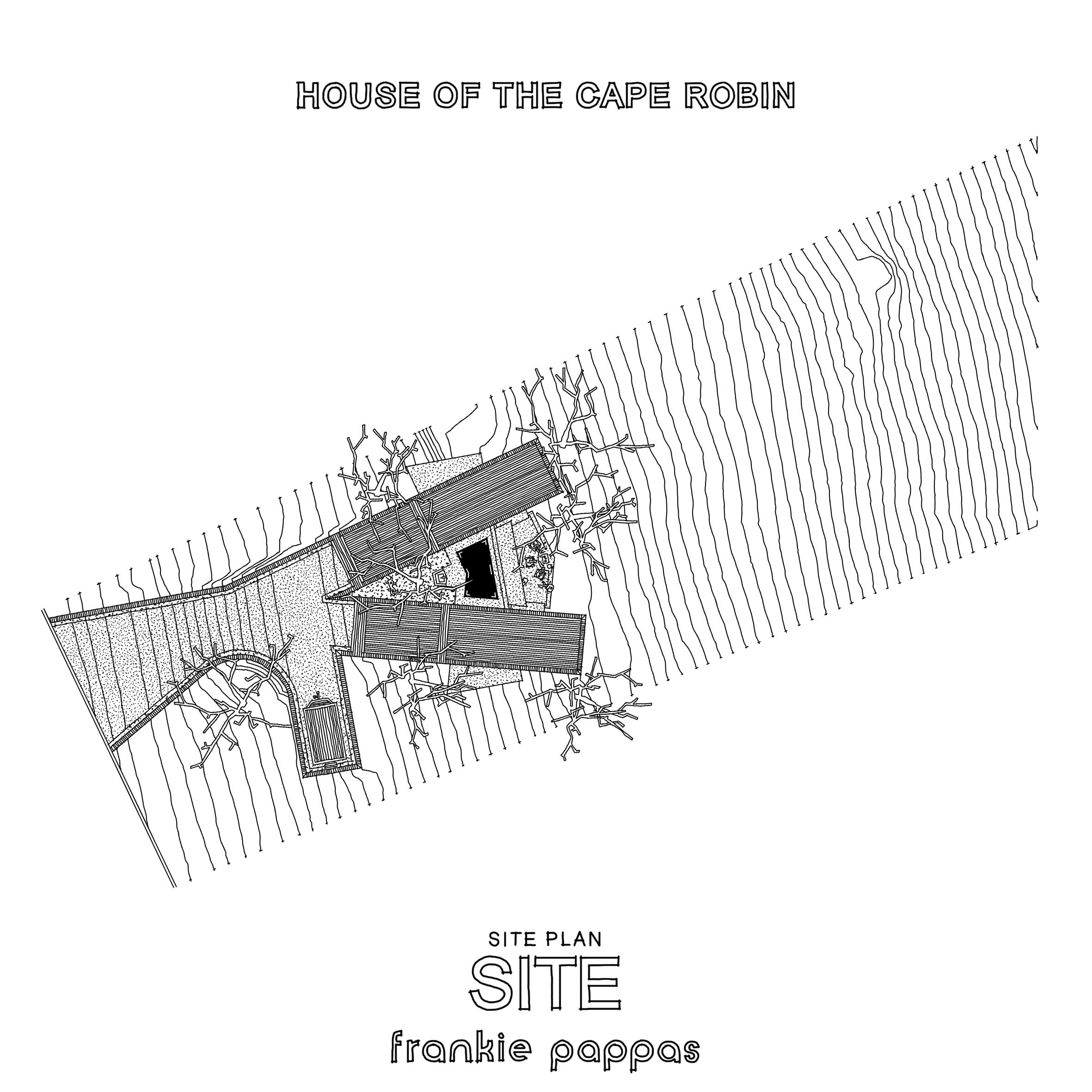 House of the Cape Robin by FrankiePappas - Architizer
