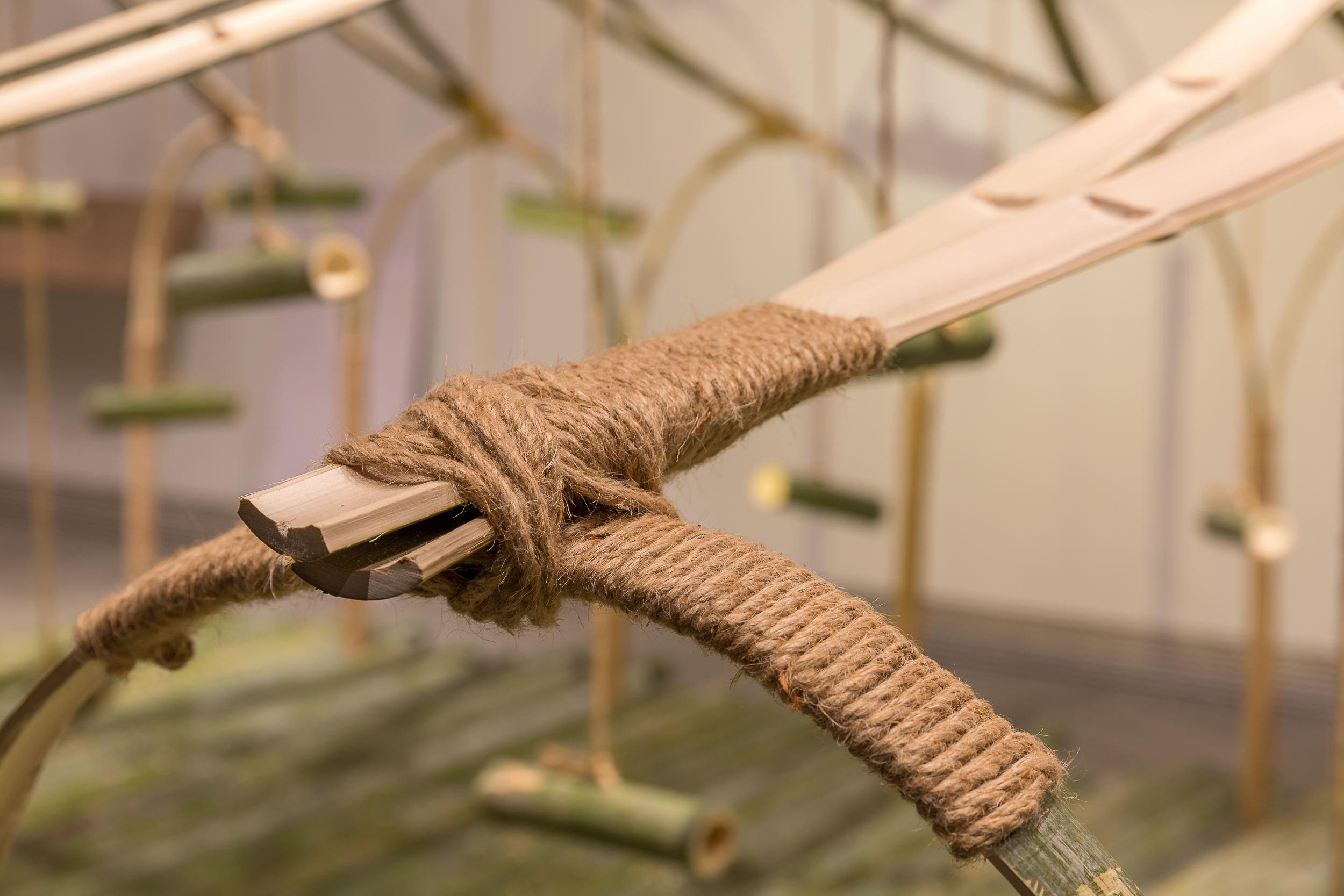 Bamboo Ridge House by MUFU ARCHLAB - Architizer