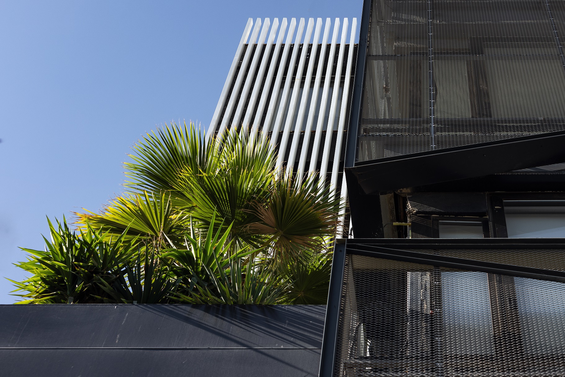 Metal Complex Building by Soroush Saberi - Architizer
