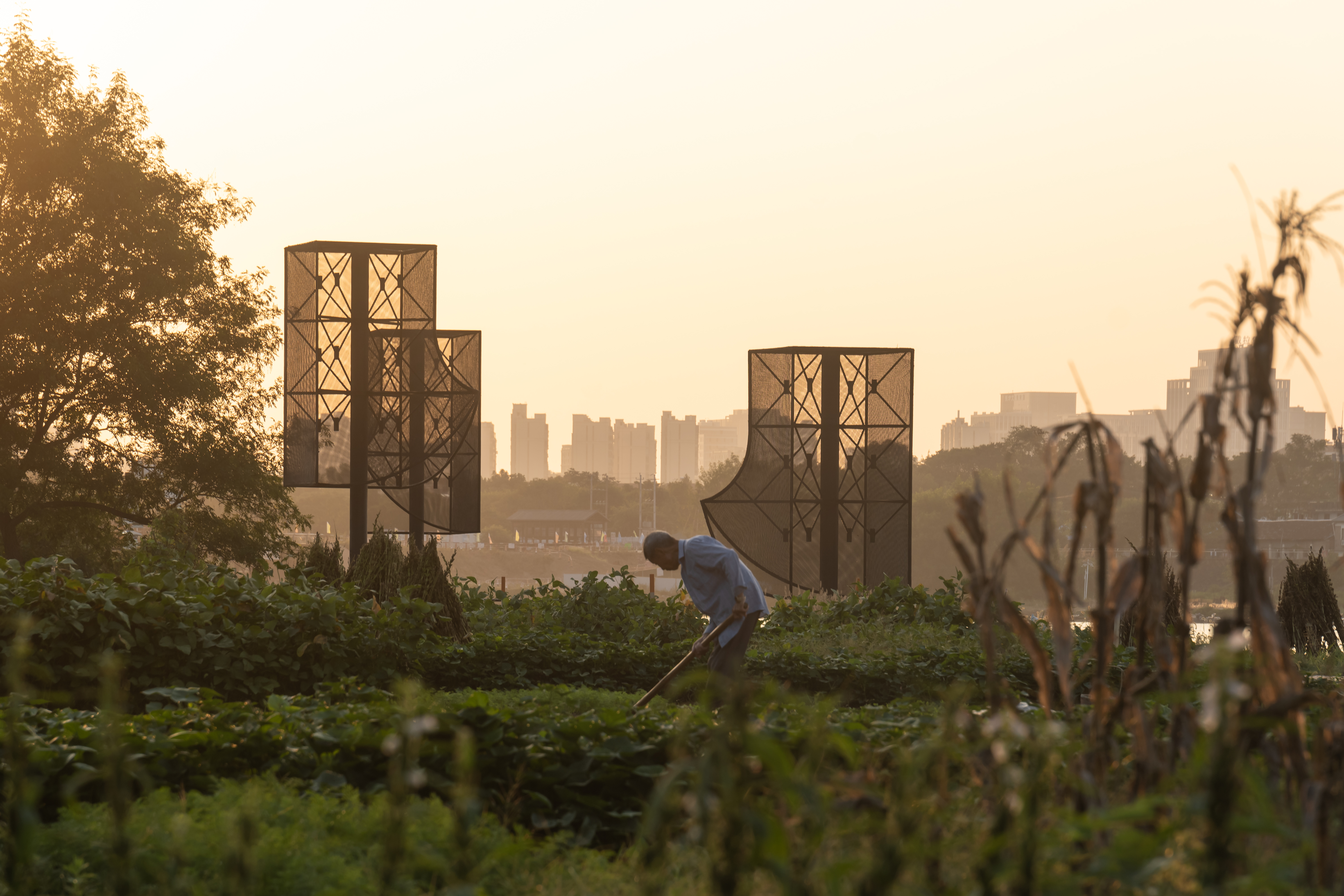 Longyou county rural everyday infrastructure by Qing Studio of Huazhong ...