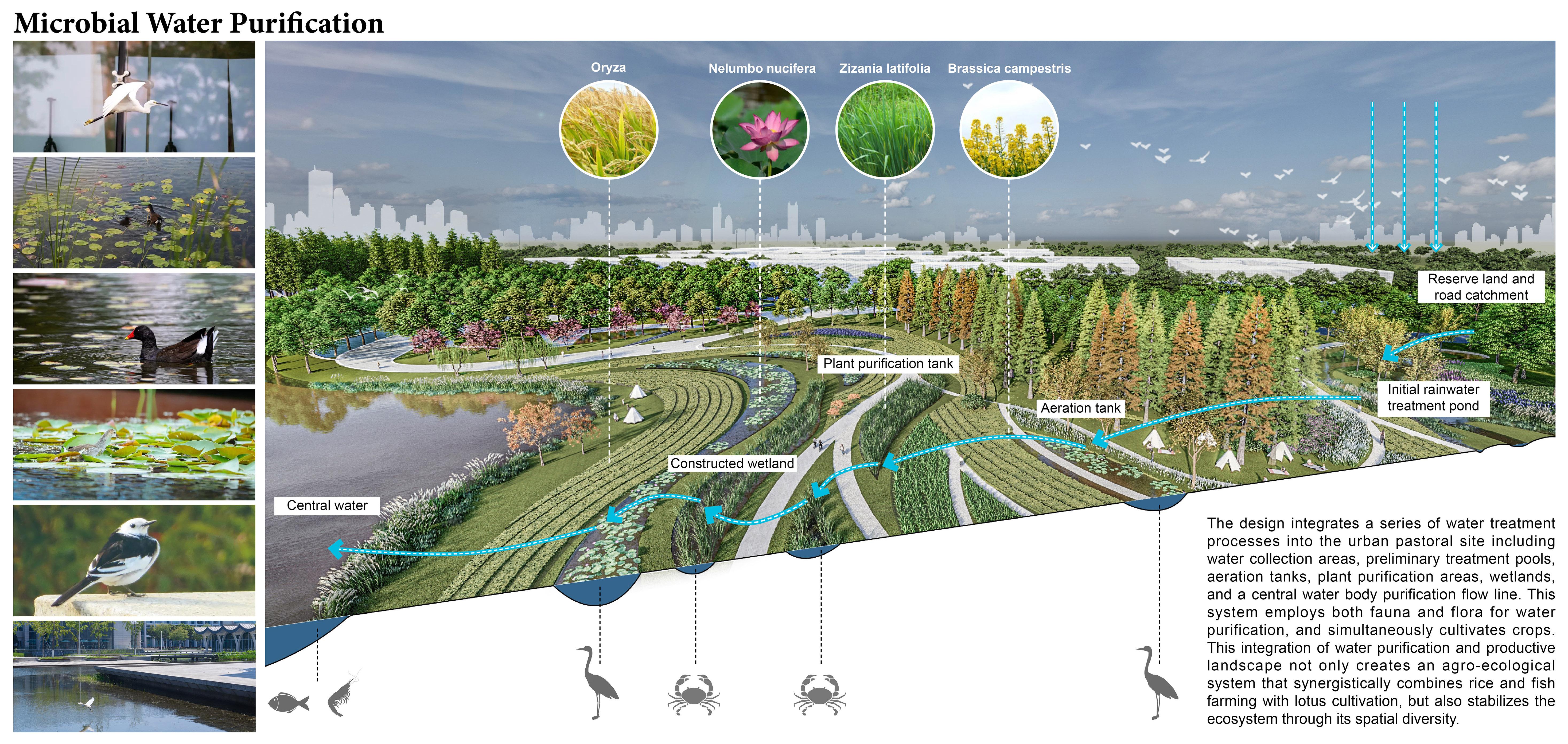 Dynamic Boundaries Linking Time and Space: Duke Kunshan University 14 ...