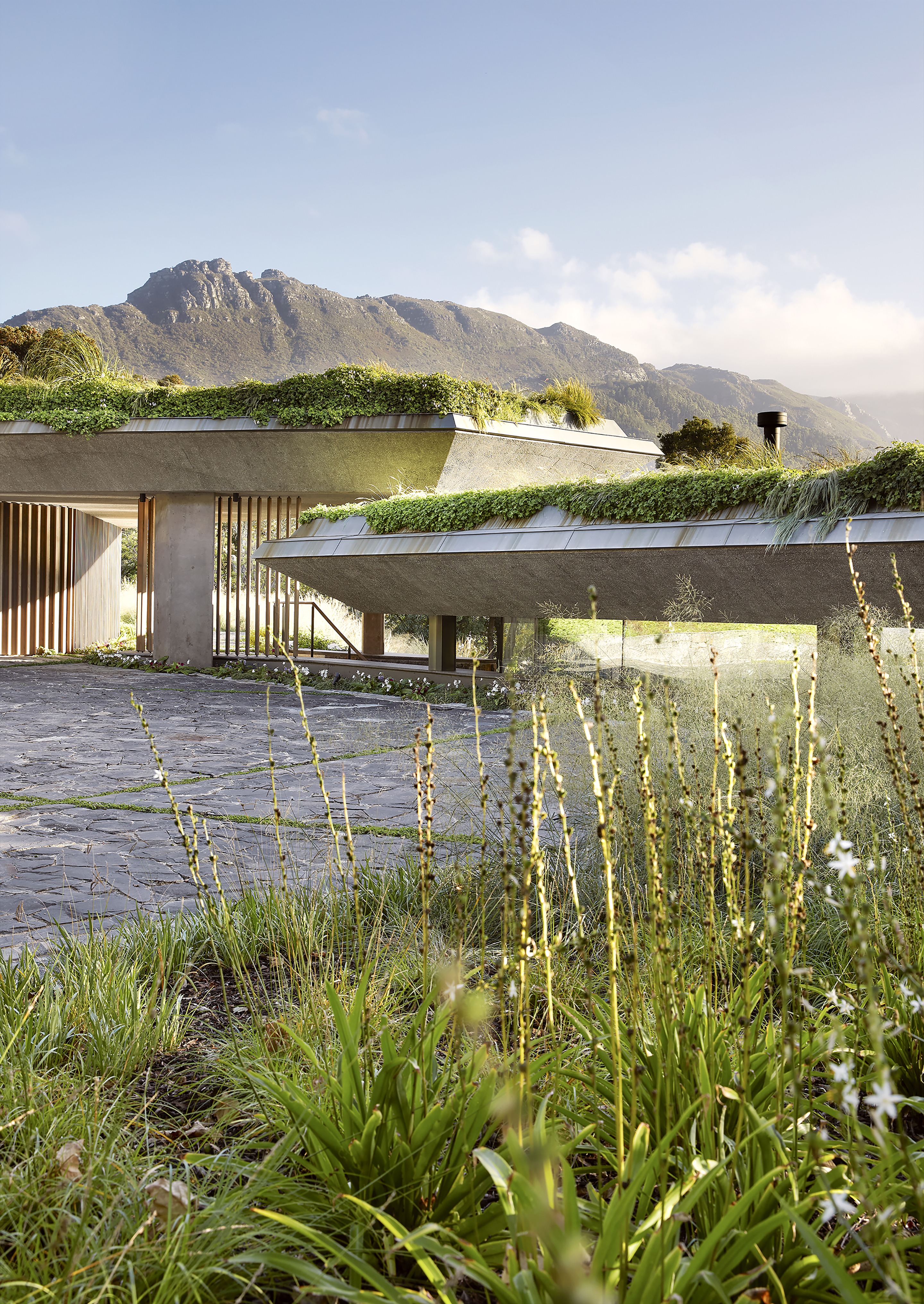 Planted Pavilion by Malan Vorster Architecture Interior Design - Architizer