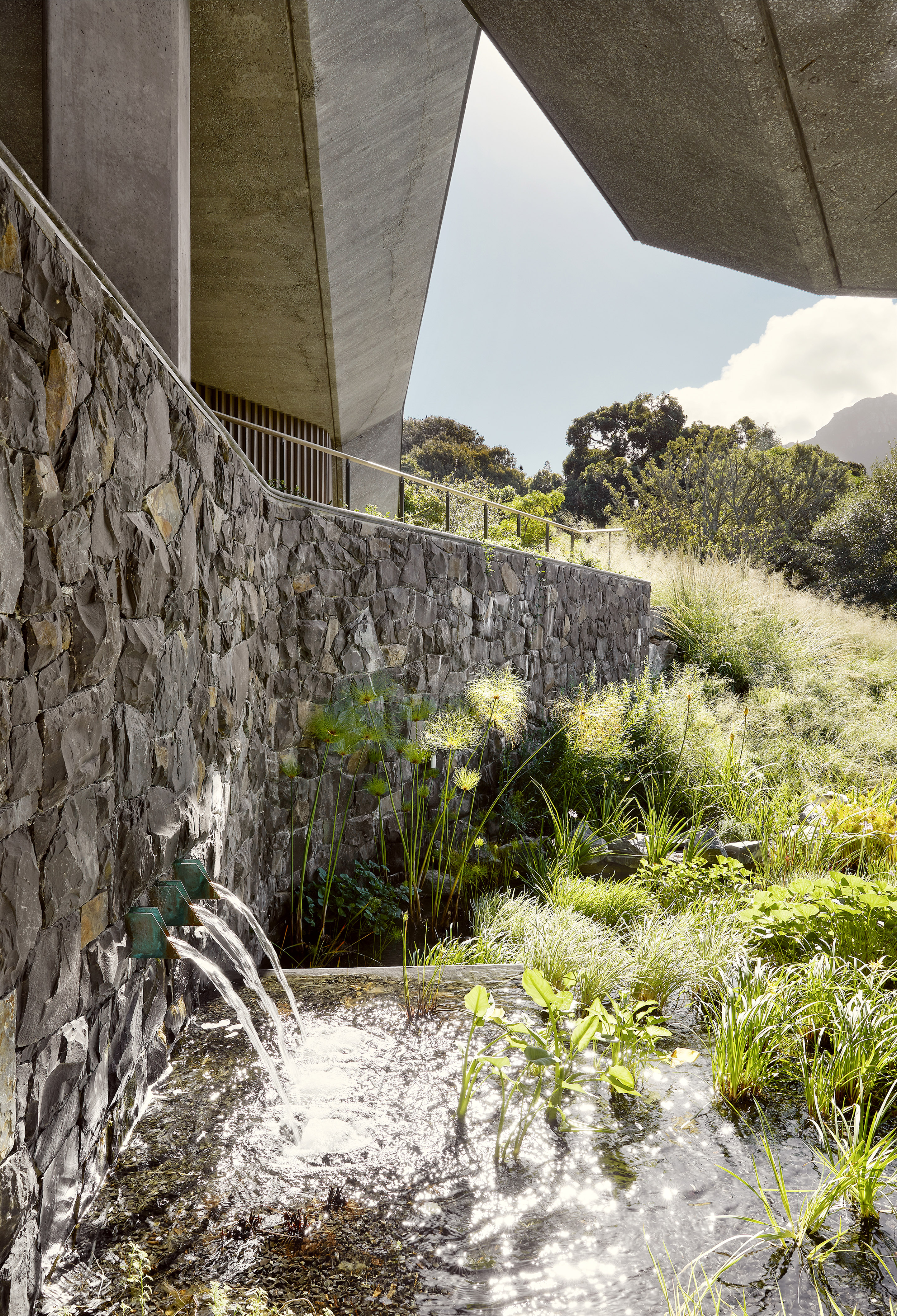 Planted Pavilion by Malan Vorster Architecture Interior Design - Architizer