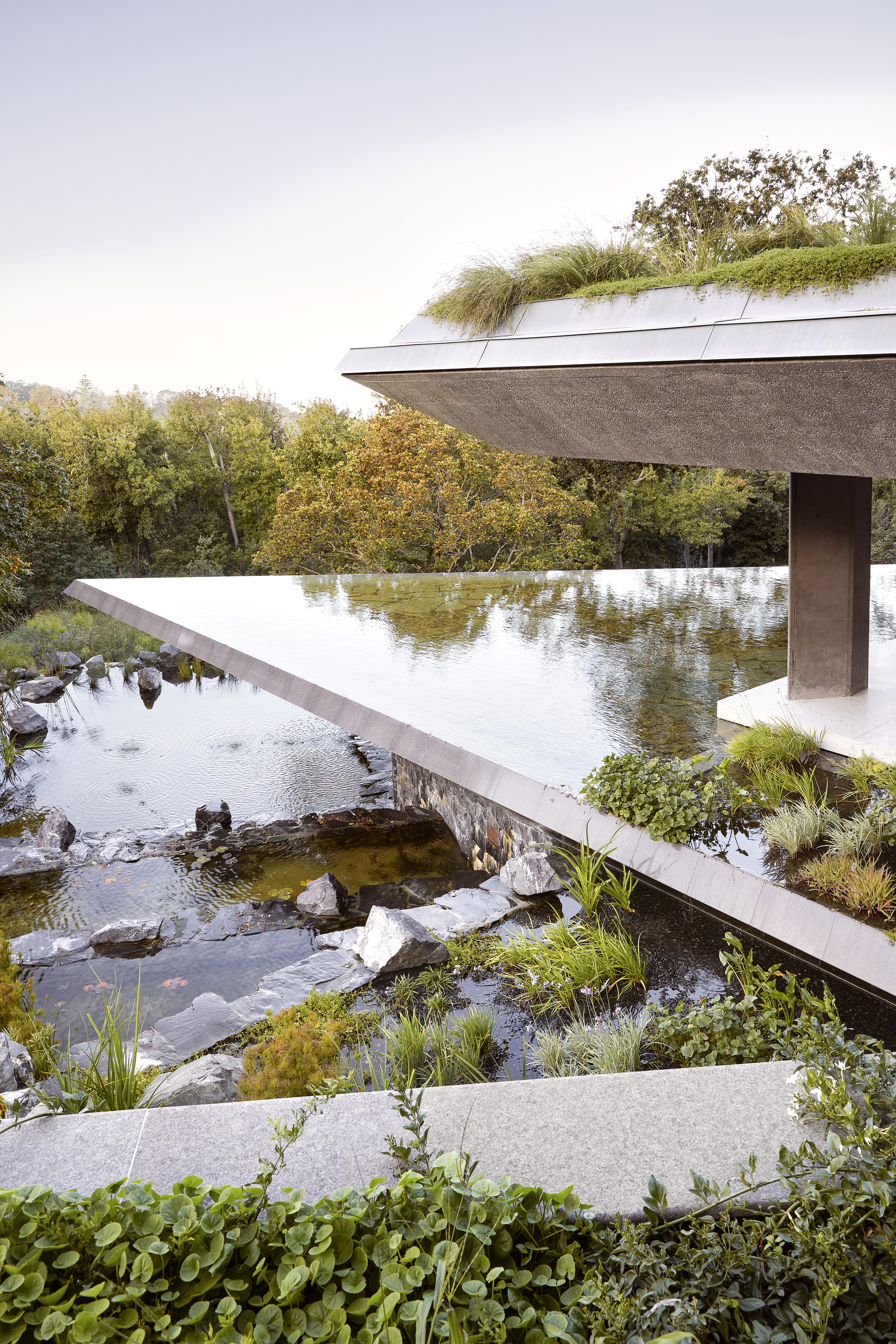 Planted Pavilion by Malan Vorster Architecture Interior Design - Architizer
